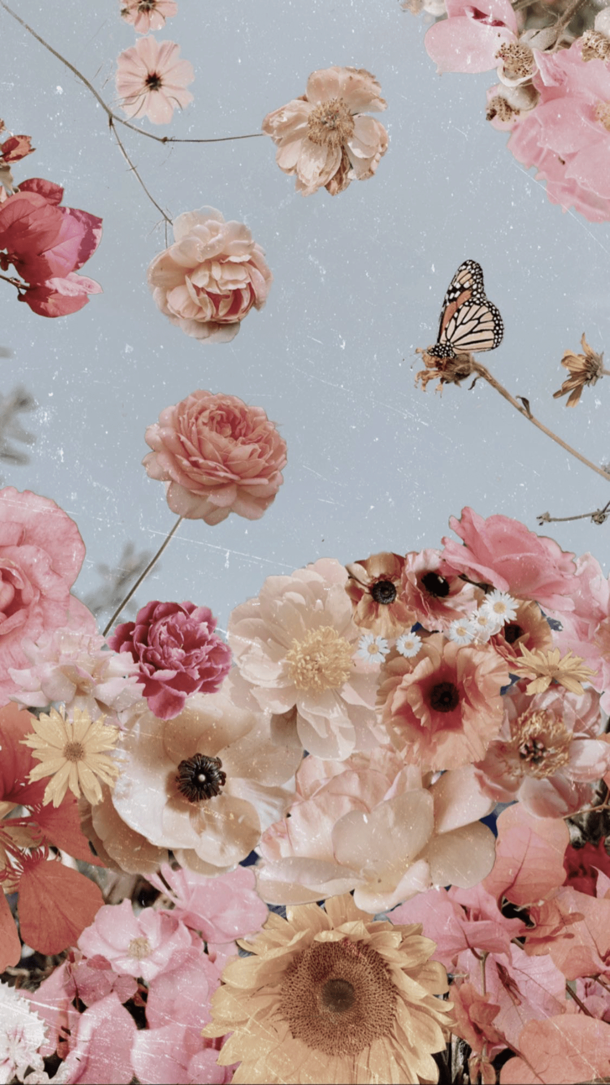 Peaceful Flowers Wallpapers - Top Free Peaceful Flowers Backgrounds ...