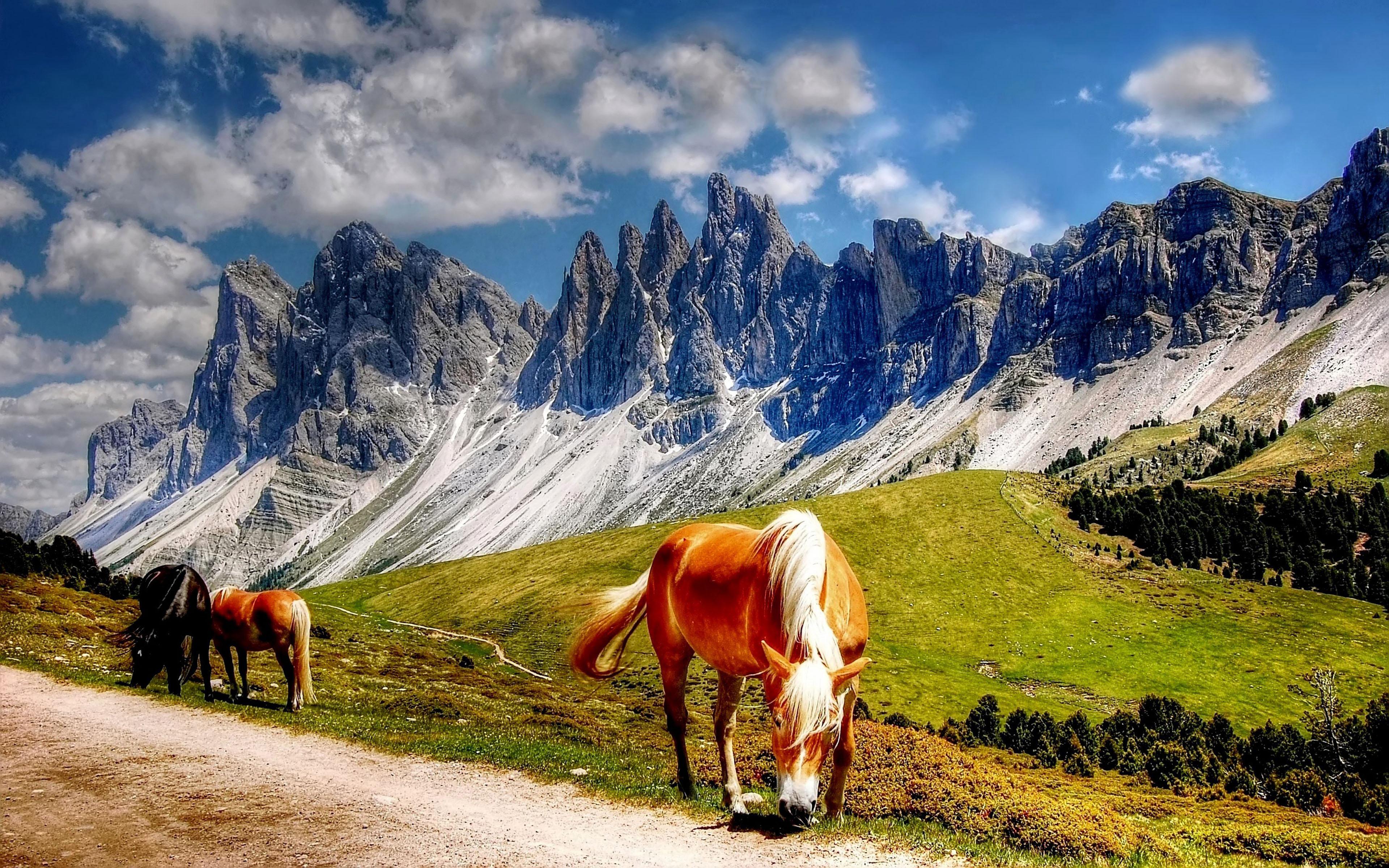Dolomites Italy Wallpapers - Top Free Dolomites Italy Backgrounds ...