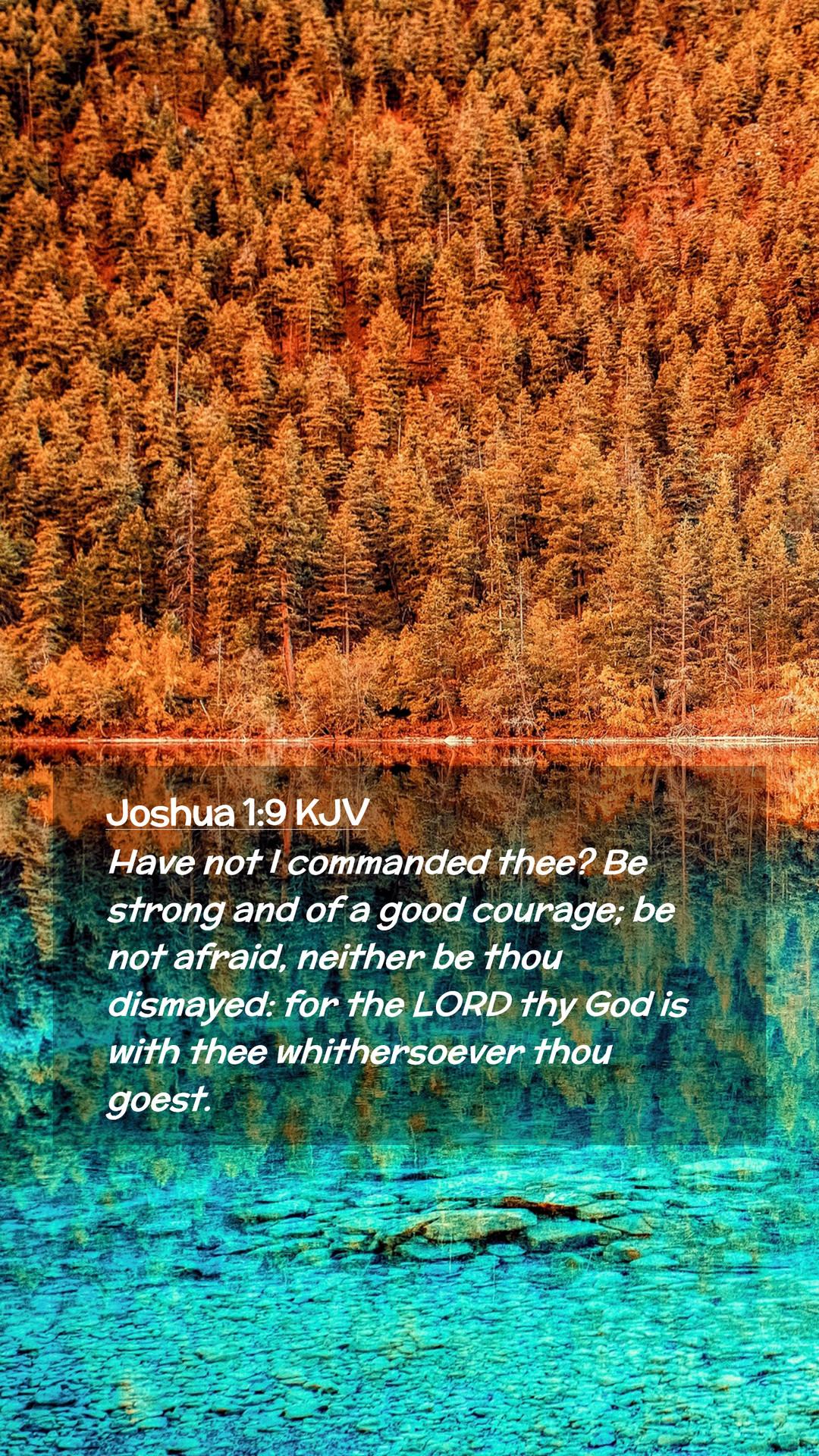 Bible Mobile Wallpapers - Top Free Bible Mobile Backgrounds - WallpaperAccess