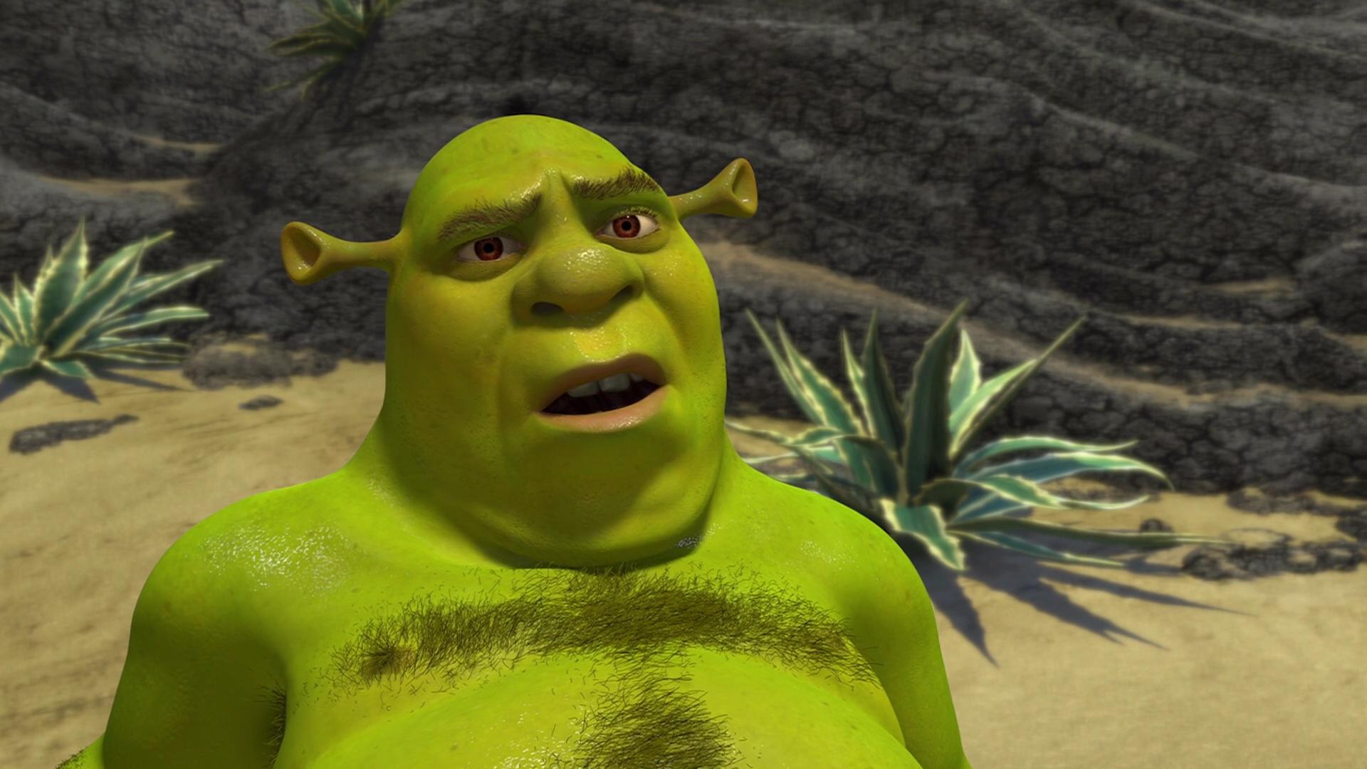Shrek 2 Wallpapers - Top Free Shrek 2 Backgrounds - WallpaperAccess