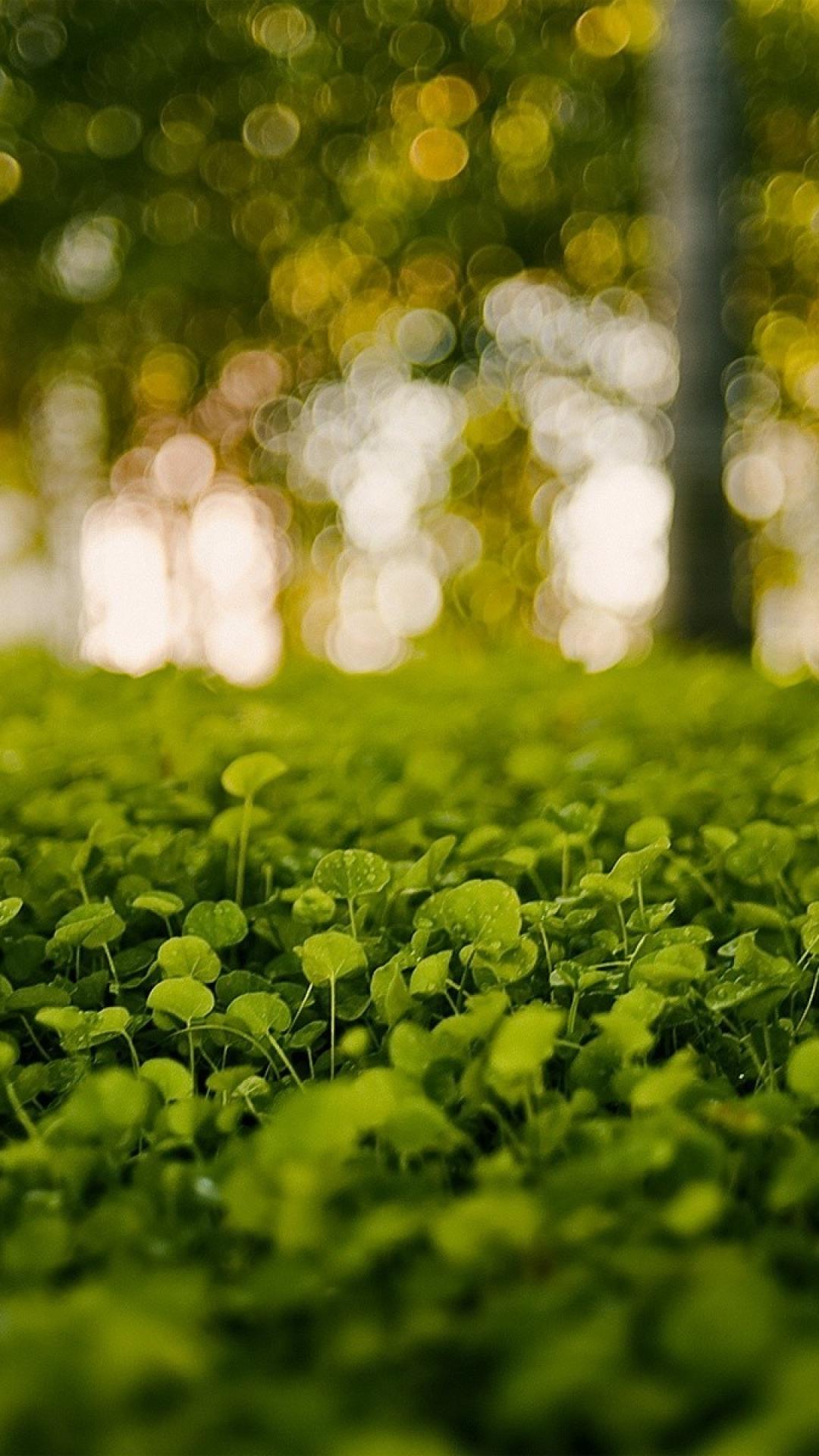 Blur Mobile Wallpapers - Top Free Blur Mobile Backgrounds - WallpaperAccess