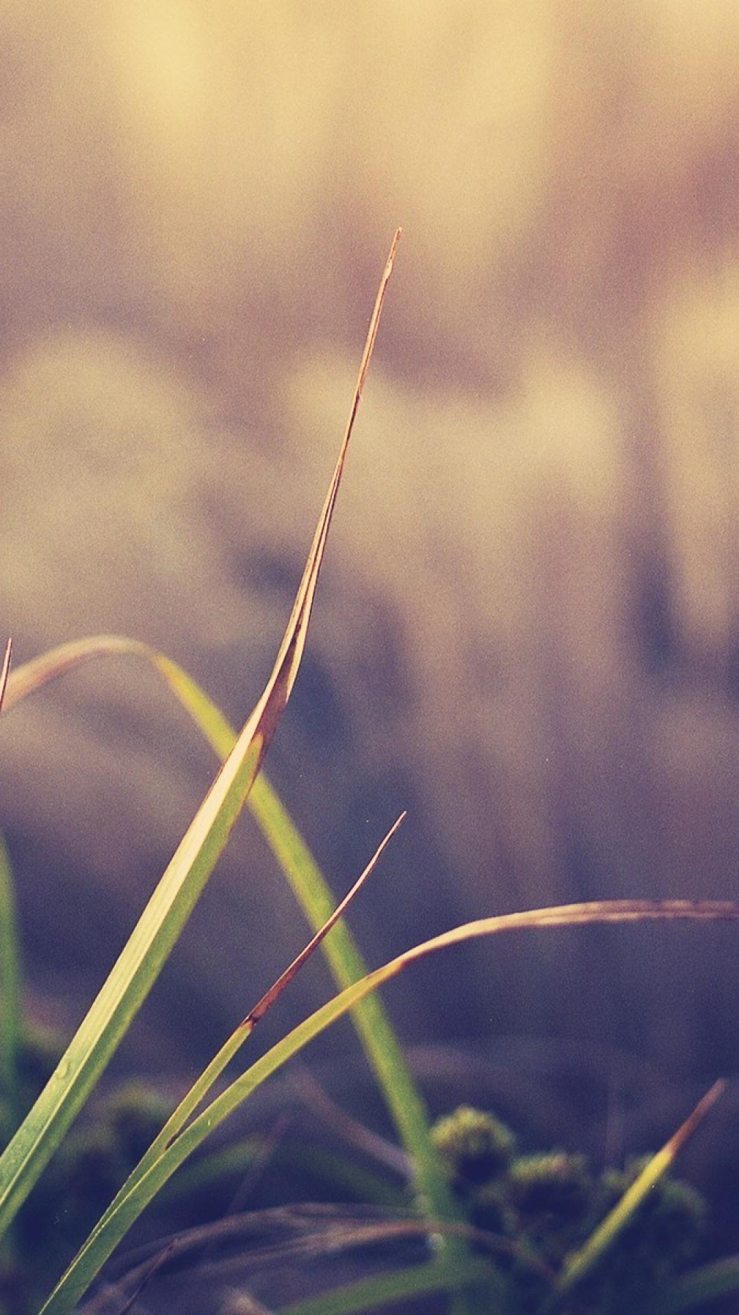 Blur Mobile Wallpapers - Top Free Blur Mobile Backgrounds - WallpaperAccess