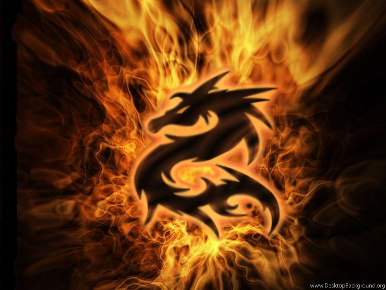 Dragon World Wallpapers - Top Free Dragon World Backgrounds ...