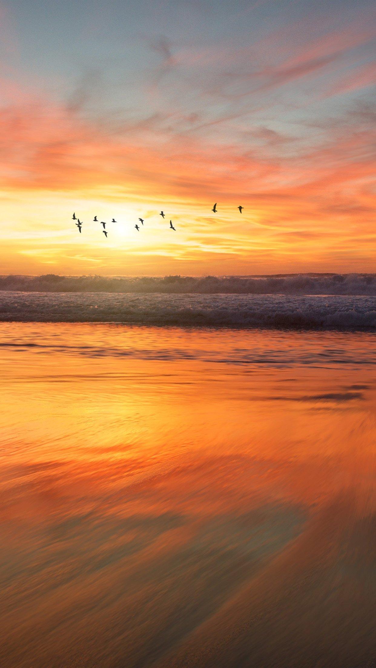 Summer Birds Wallpapers - Top Free Summer Birds Backgrounds ...