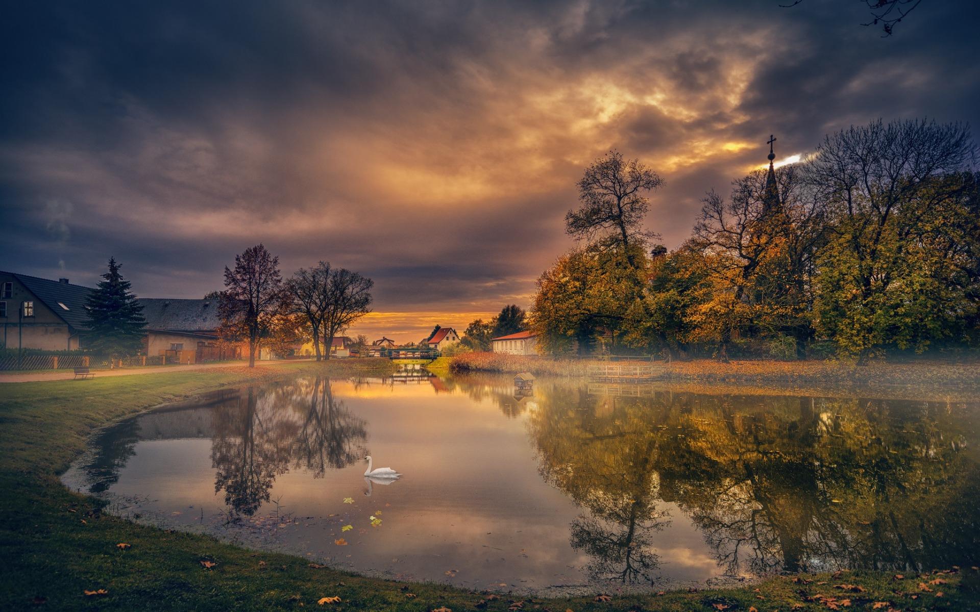 Swan Autumn Desktop Wallpapers - Top Free Swan Autumn Desktop ...