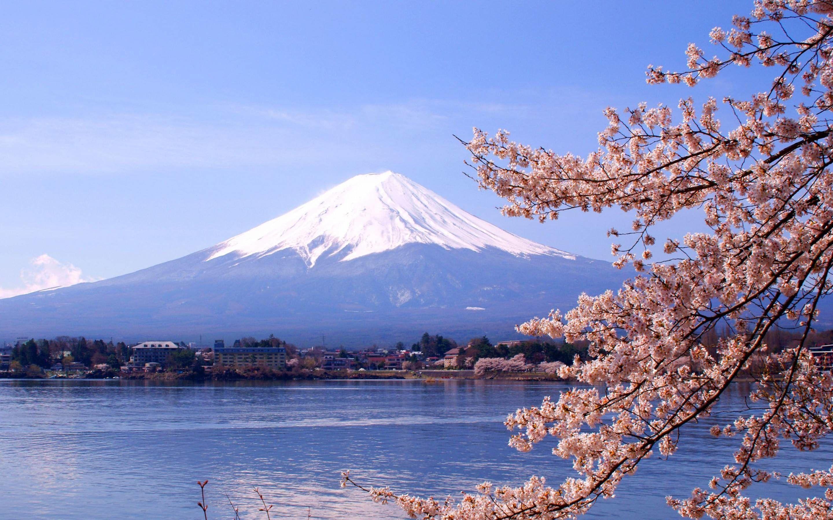 Mount Fuji Anime Wallpapers - Top Free Mount Fuji Anime Backgrounds ...