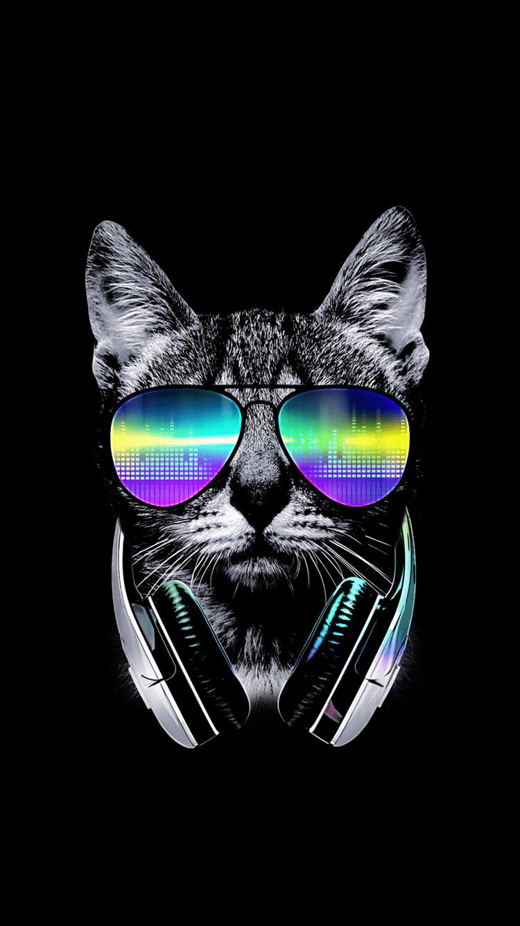 Dope Cat Wallpapers - Top Free Dope Cat Backgrounds - WallpaperAccess