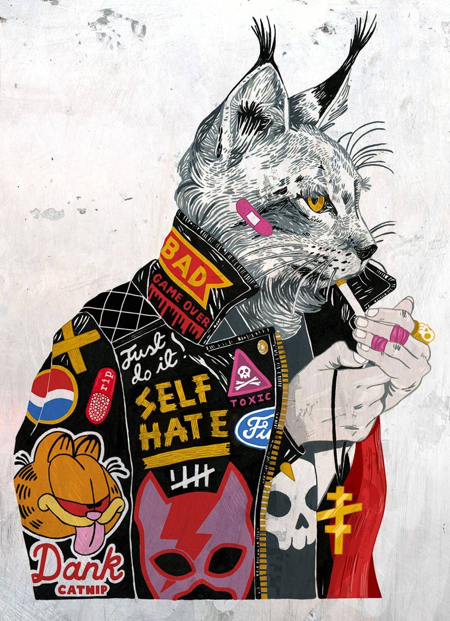 Dope Cat Wallpapers - Top Free Dope Cat Backgrounds - WallpaperAccess