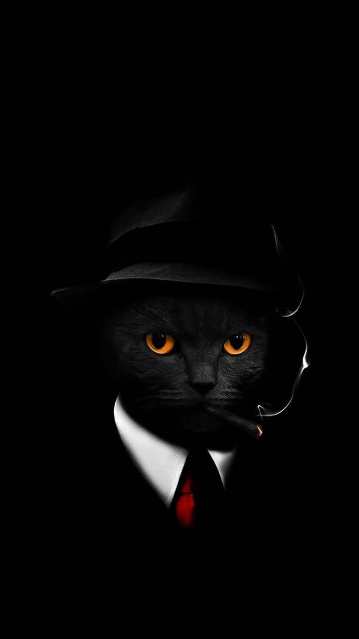Dope Cat Wallpapers - Top Free Dope Cat Backgrounds - WallpaperAccess