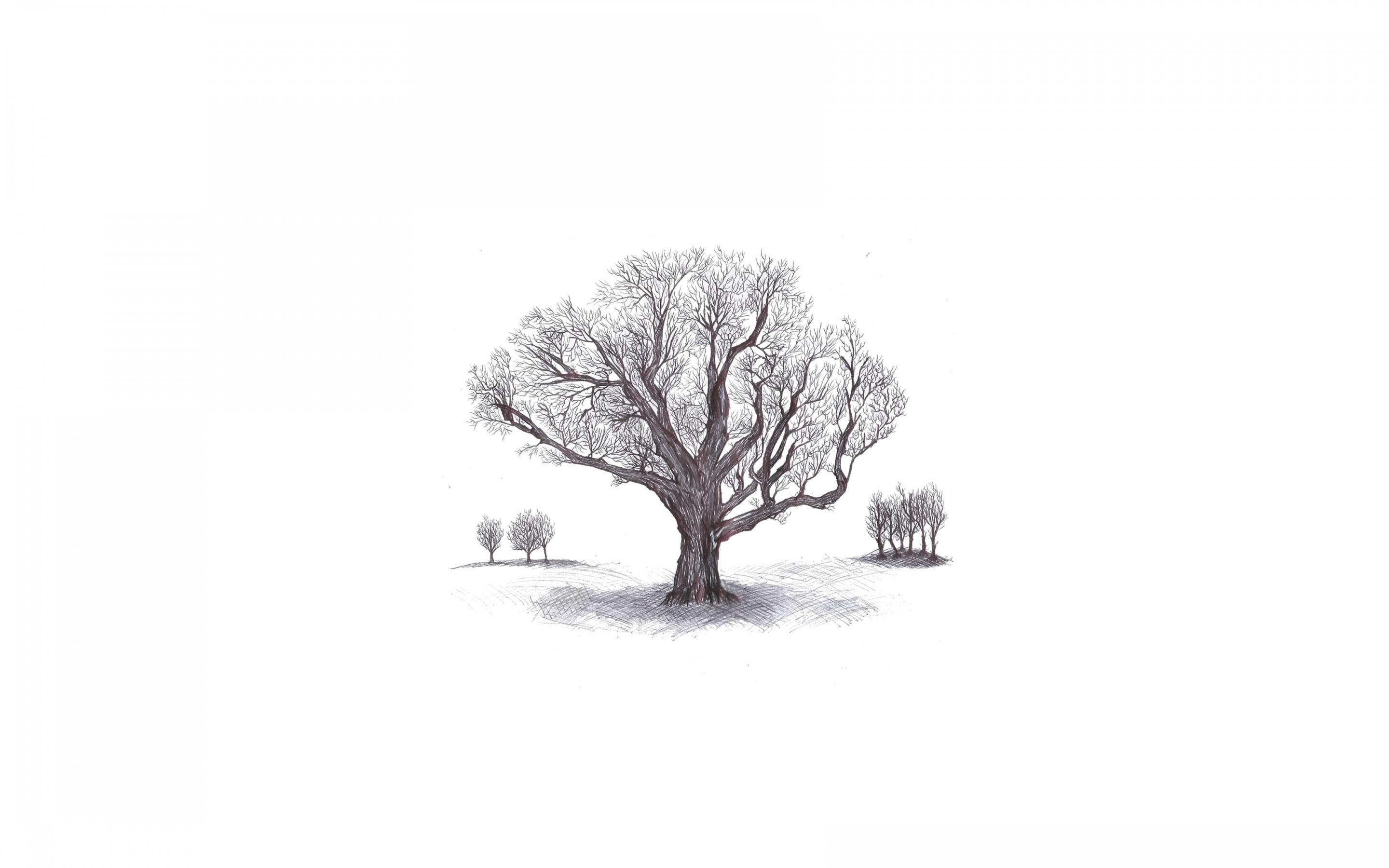 Tree Drawing Wallpapers - Top Free Tree Drawing Backgrounds ...