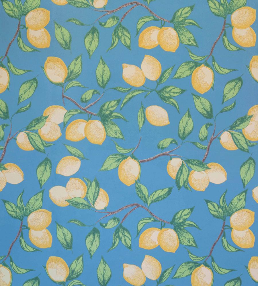 Blue Lemon Wallpapers - Top Free Blue Lemon Backgrounds - WallpaperAccess