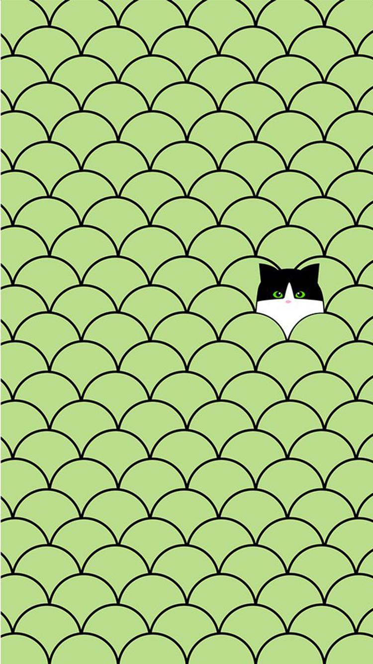 Cat Pattern iPhone Wallpapers - Top Free Cat Pattern iPhone Backgrounds ...