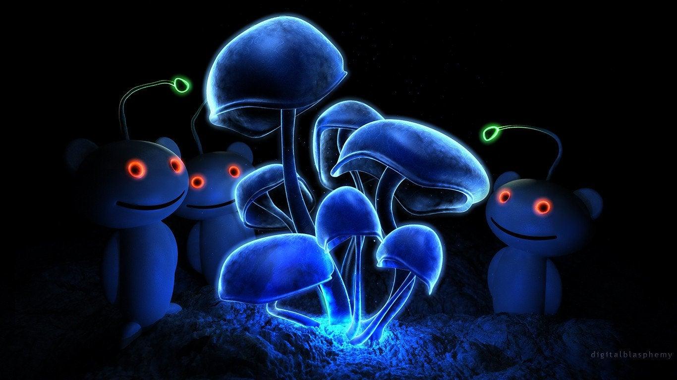 Digital Blasphemy 4K Wallpapers - Top Free Digital Blasphemy 4K Backgrounds - WallpaperAccess