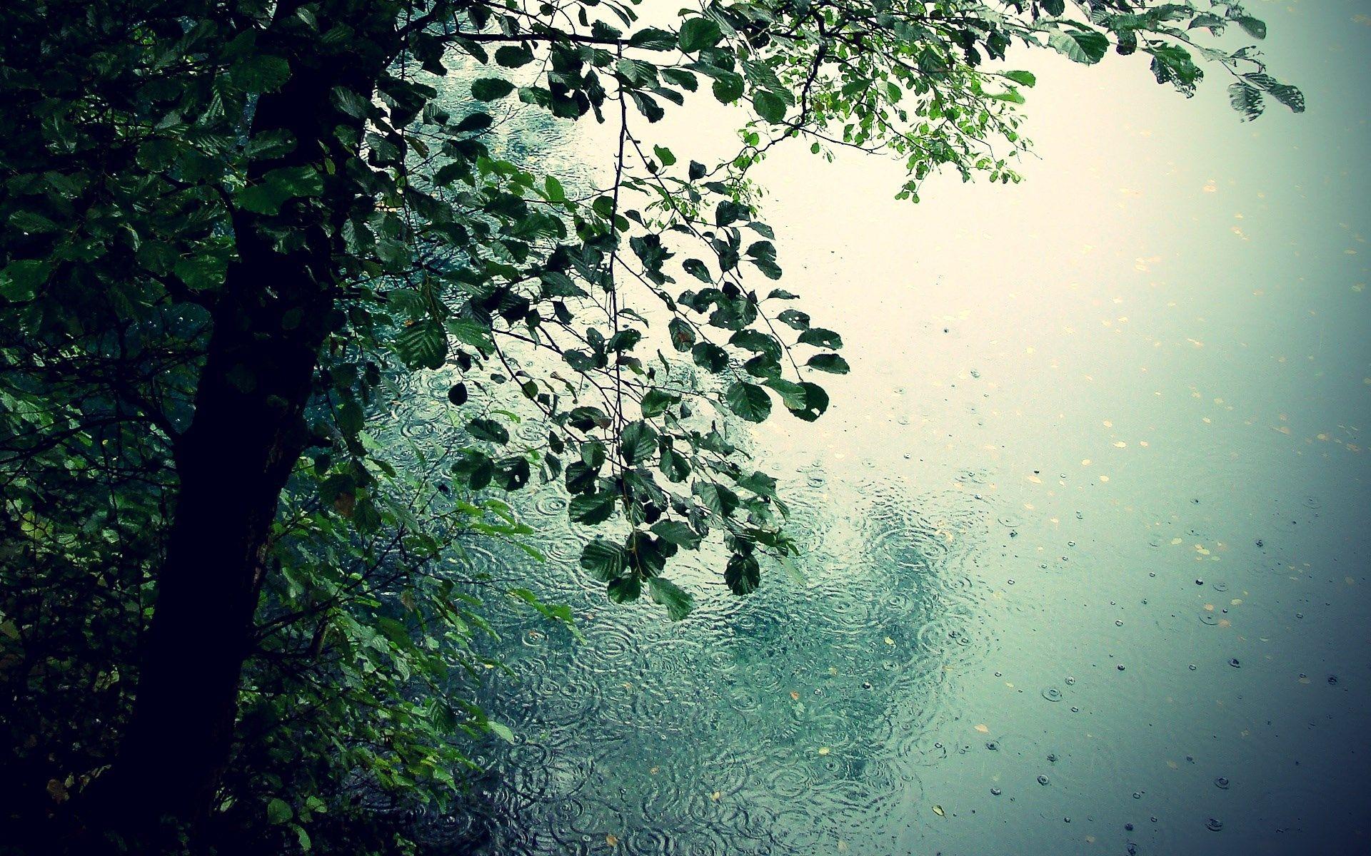 Rain Computer Wallpapers - Top Free Rain Computer Backgrounds ...