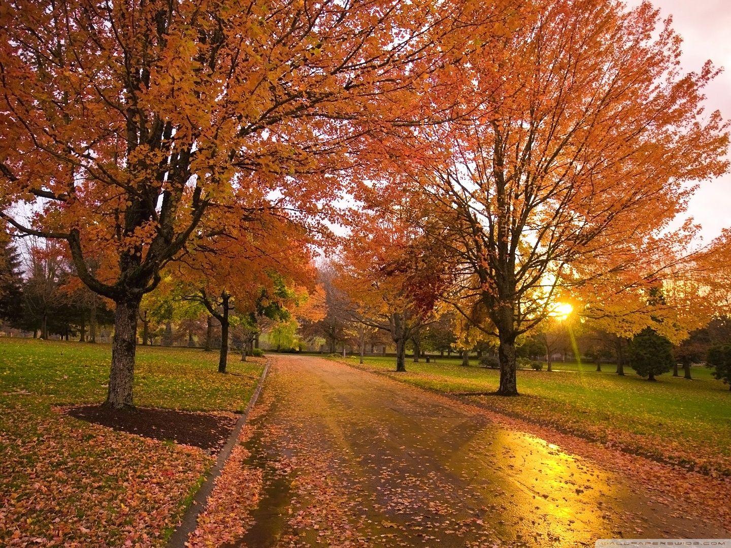 Oregon Autumn Wallpapers - Top Free Oregon Autumn Backgrounds ...