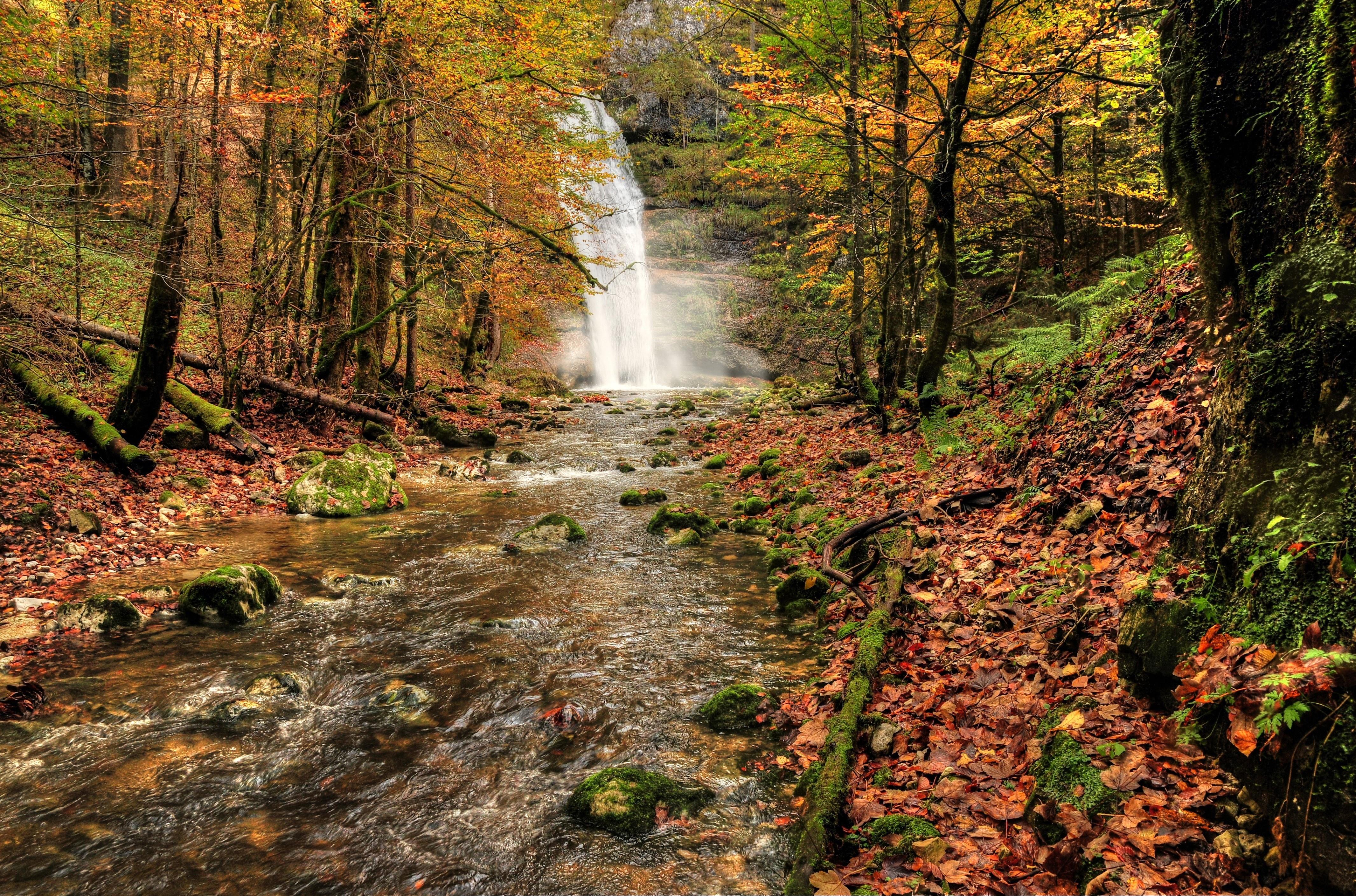 Oregon Autumn Wallpapers - Top Free Oregon Autumn Backgrounds ...