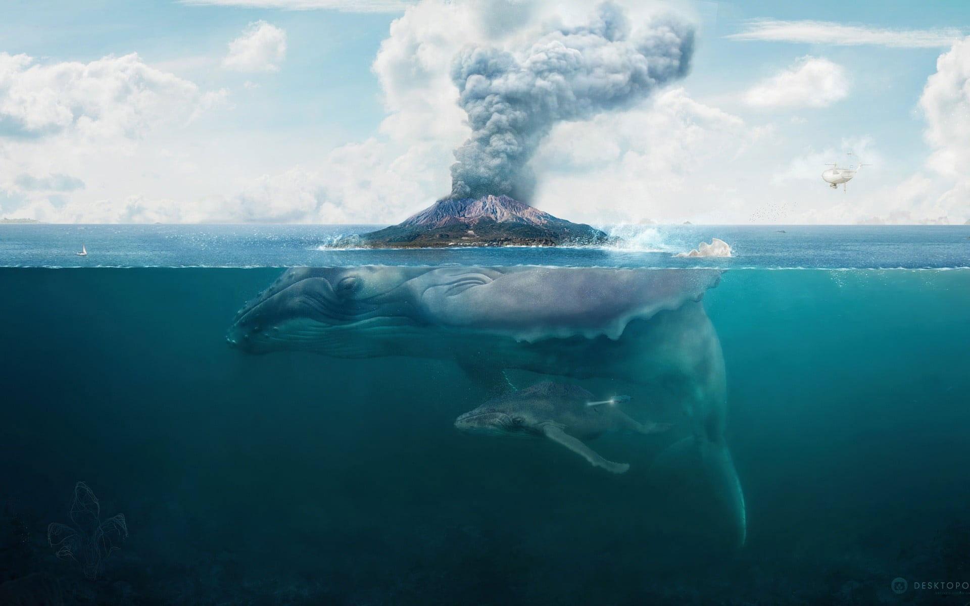 Creepy Ocean Wallpapers - Top Free Creepy Ocean Backgrounds ...