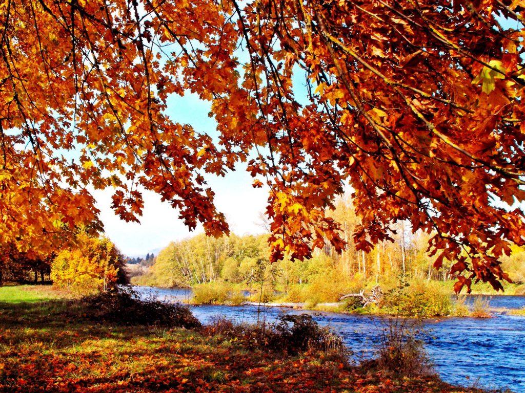 Oregon Autumn Wallpapers - Top Free Oregon Autumn Backgrounds ...