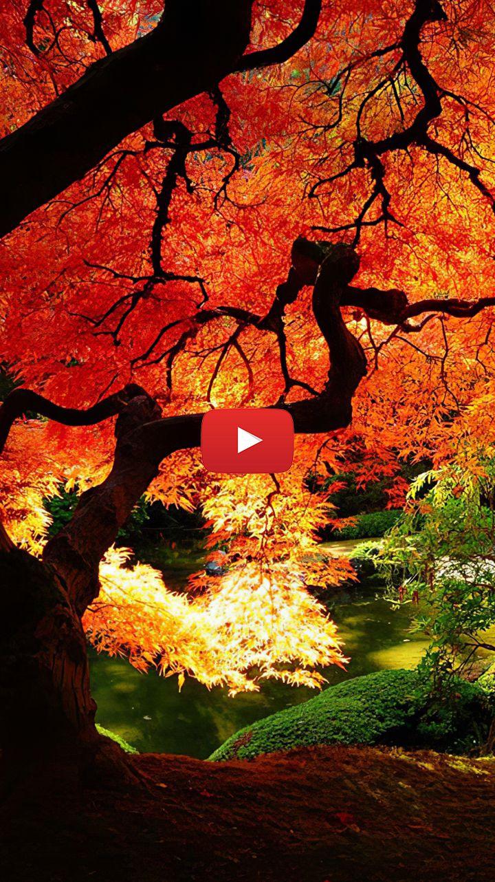 Oregon Autumn Wallpapers - Top Free Oregon Autumn Backgrounds ...