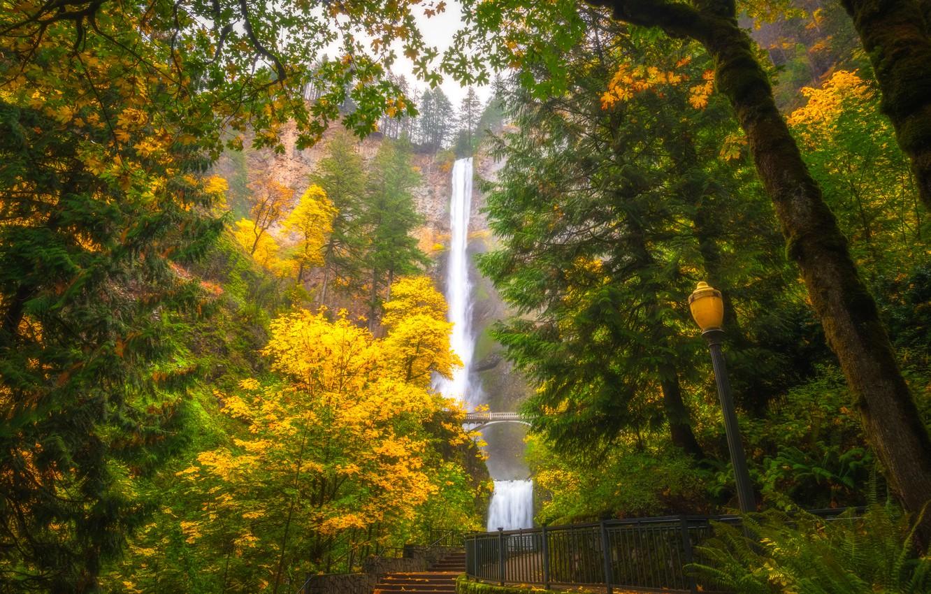 Oregon Autumn Wallpapers - Top Free Oregon Autumn Backgrounds ...