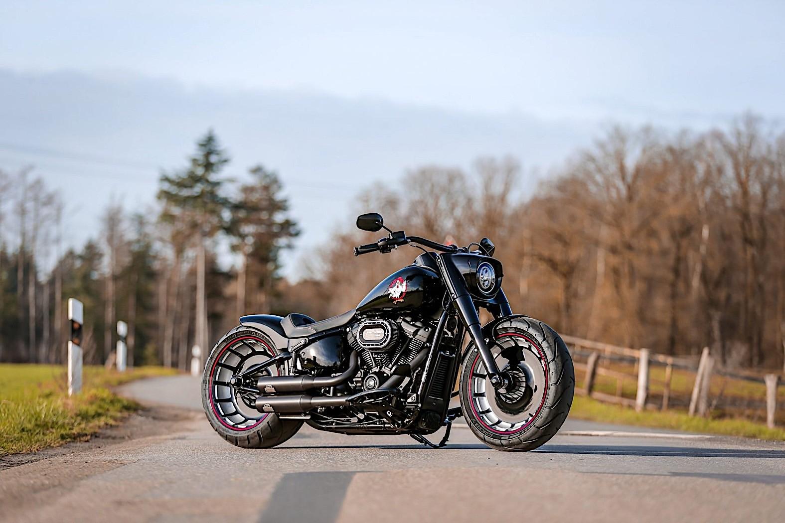 Fat Chicken Wallpapers - Top Free Fat Chicken Backgrounds - WallpaperAccess