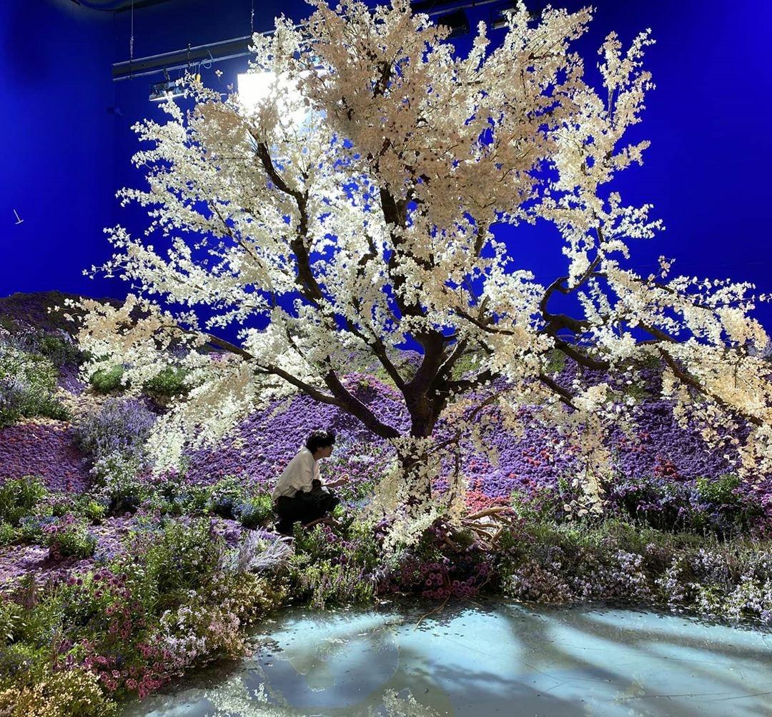 Stay Gold BTS Wallpapers - Top Free Stay Gold BTS Backgrounds ...