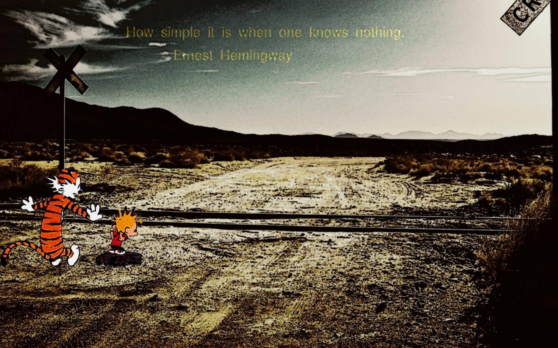 Ernest Hemingway Wallpapers - Top Free Ernest Hemingway Backgrounds ...