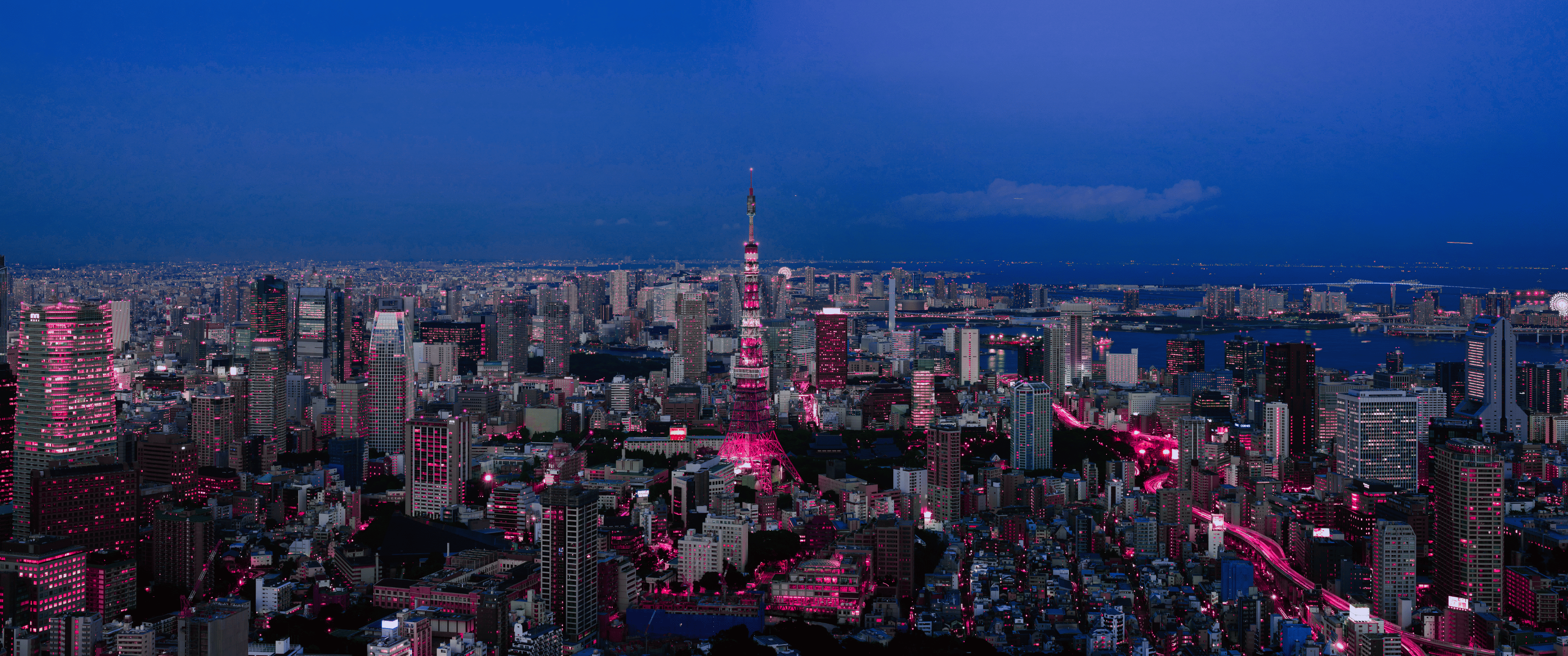 Pink Tokyo Wallpapers - Top Free Pink Tokyo Backgrounds - WallpaperAccess