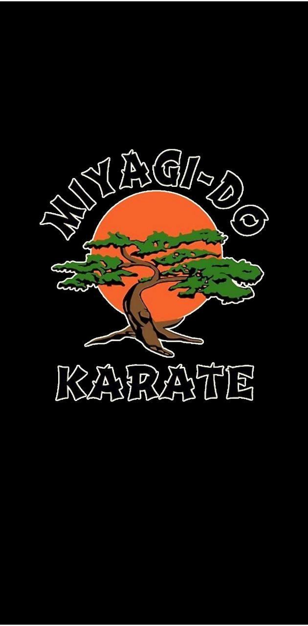 Miyagi-Do Wallpapers - Top Free Miyagi-Do Backgrounds - WallpaperAccess