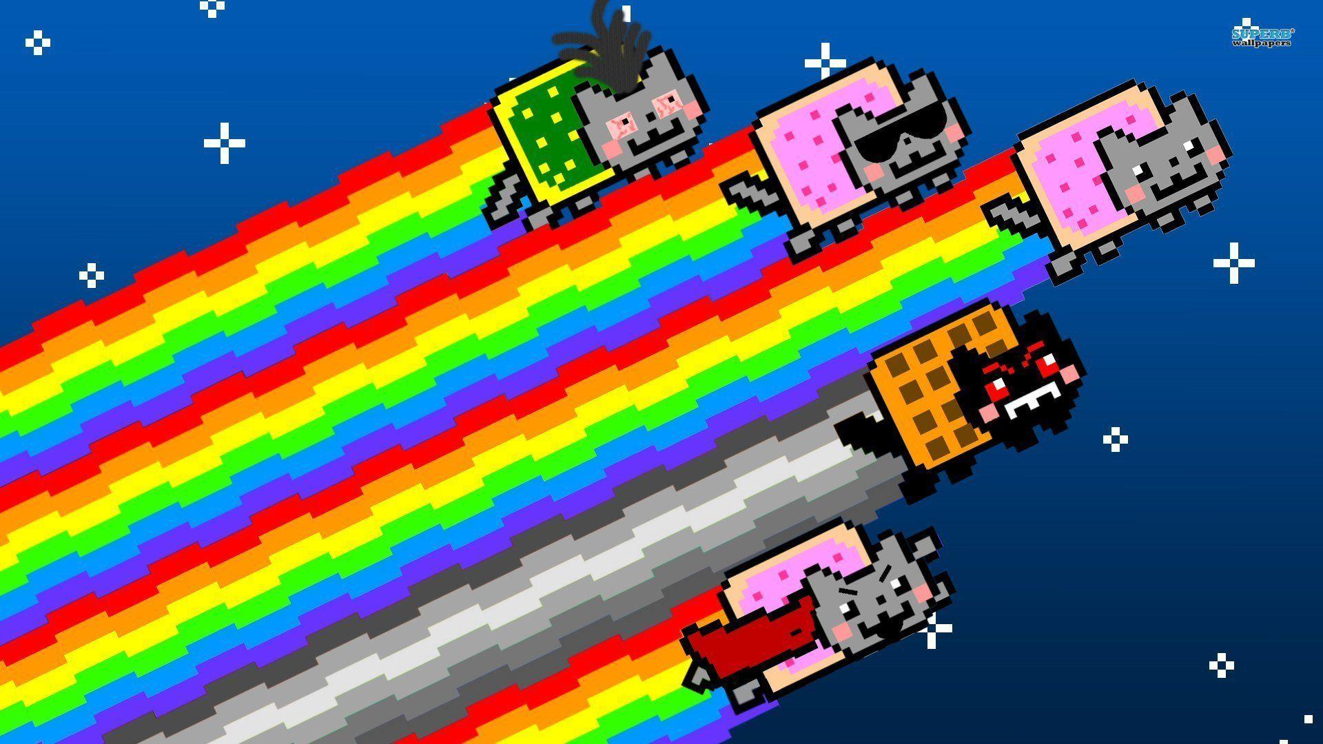 Real Nyan Cat Wallpapers - Top Free Real Nyan Cat Backgrounds ...