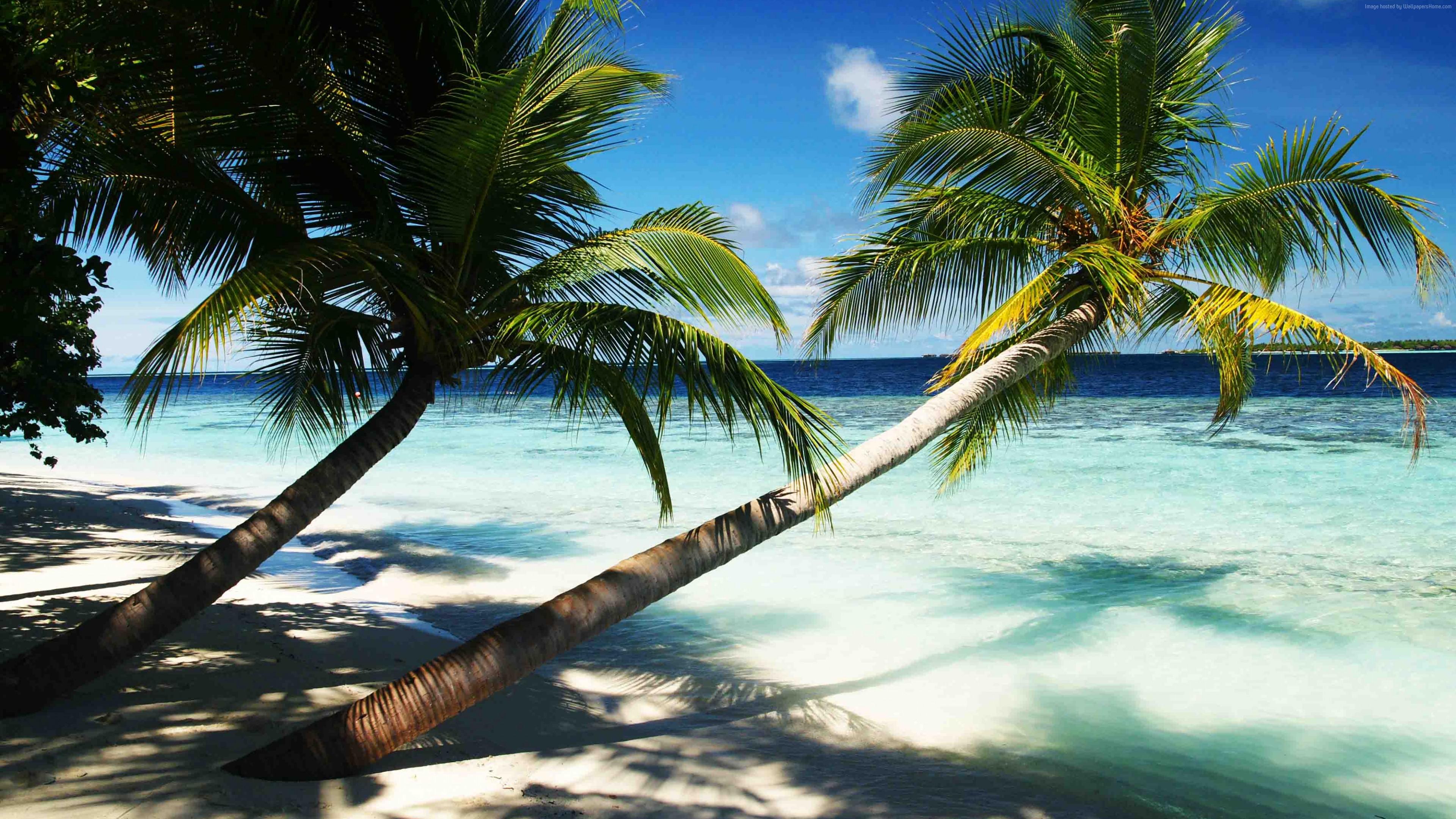 4K Vacation Wallpapers - Top Free 4K Vacation Backgrounds - WallpaperAccess