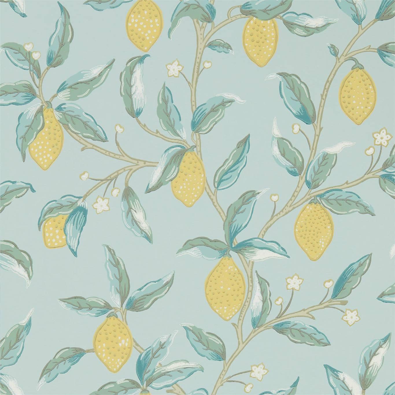 Citrus Tree Wallpapers - Top Free Citrus Tree Backgrounds - WallpaperAccess
