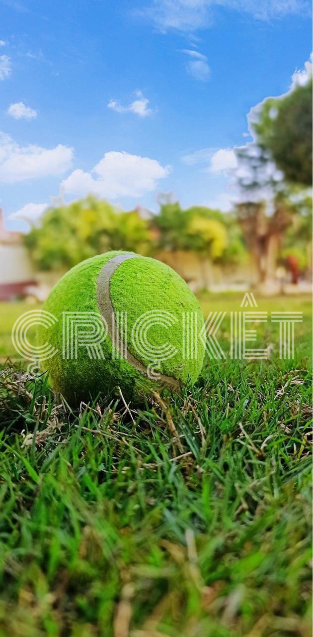 Cricket Ball Wallpapers - Top Free Cricket Ball Backgrounds ...