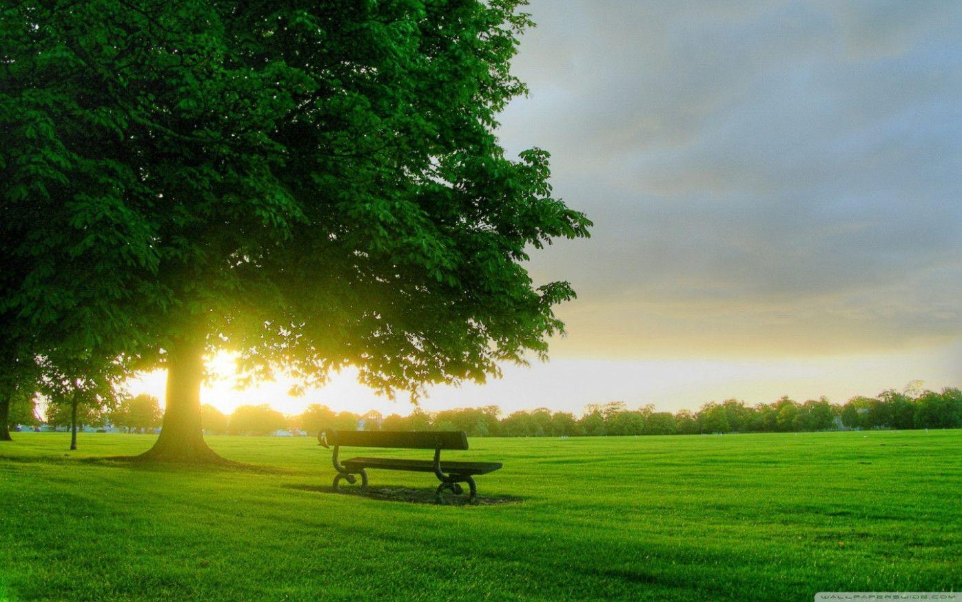 16K HD Wallpapers - Top Free 16K HD Backgrounds - WallpaperAccess