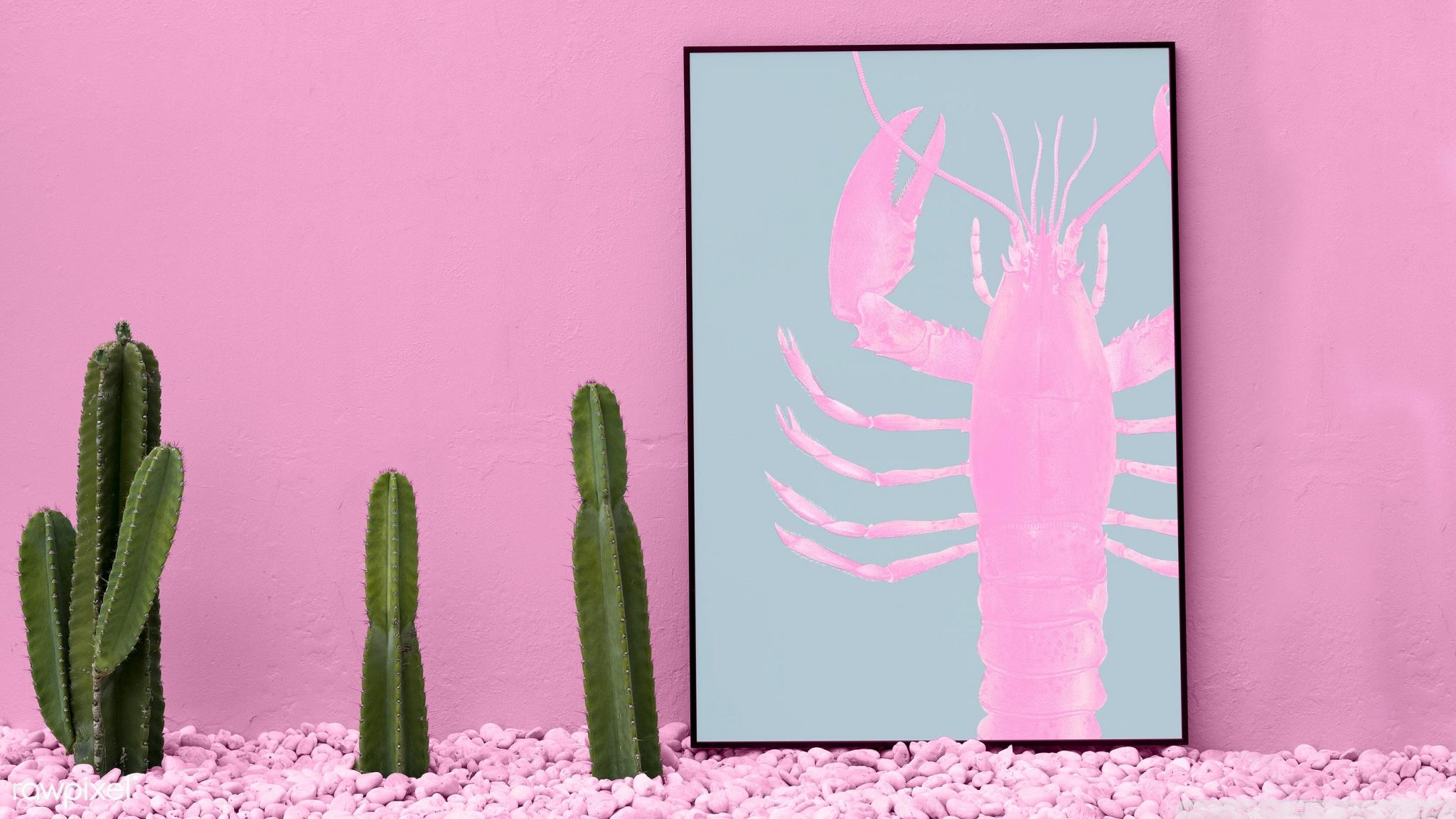 Pink Cactus Desktop Wallpapers - Top Free Pink Cactus Desktop ...