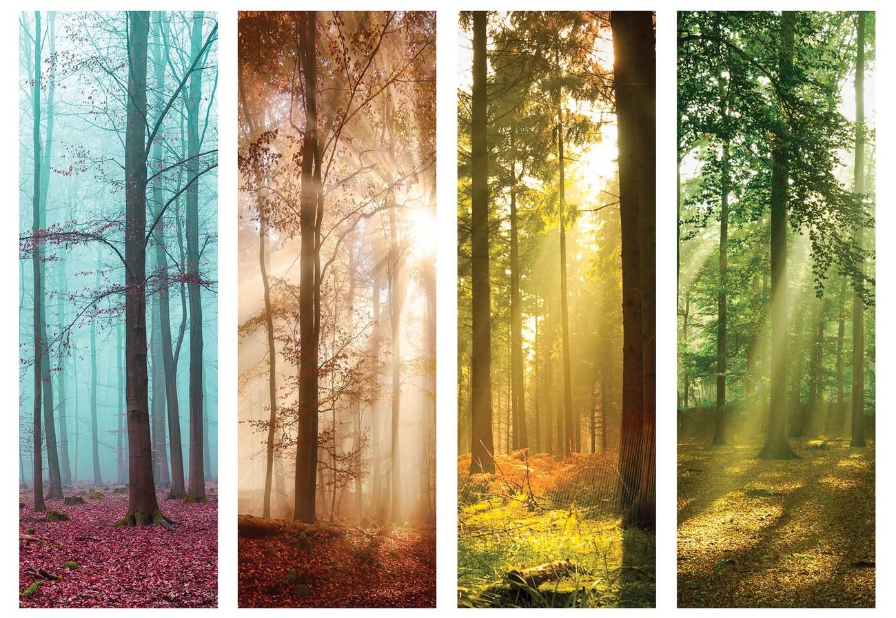 4 Seasons Wallpapers - Top Free 4 Seasons Backgrounds - WallpaperAccess