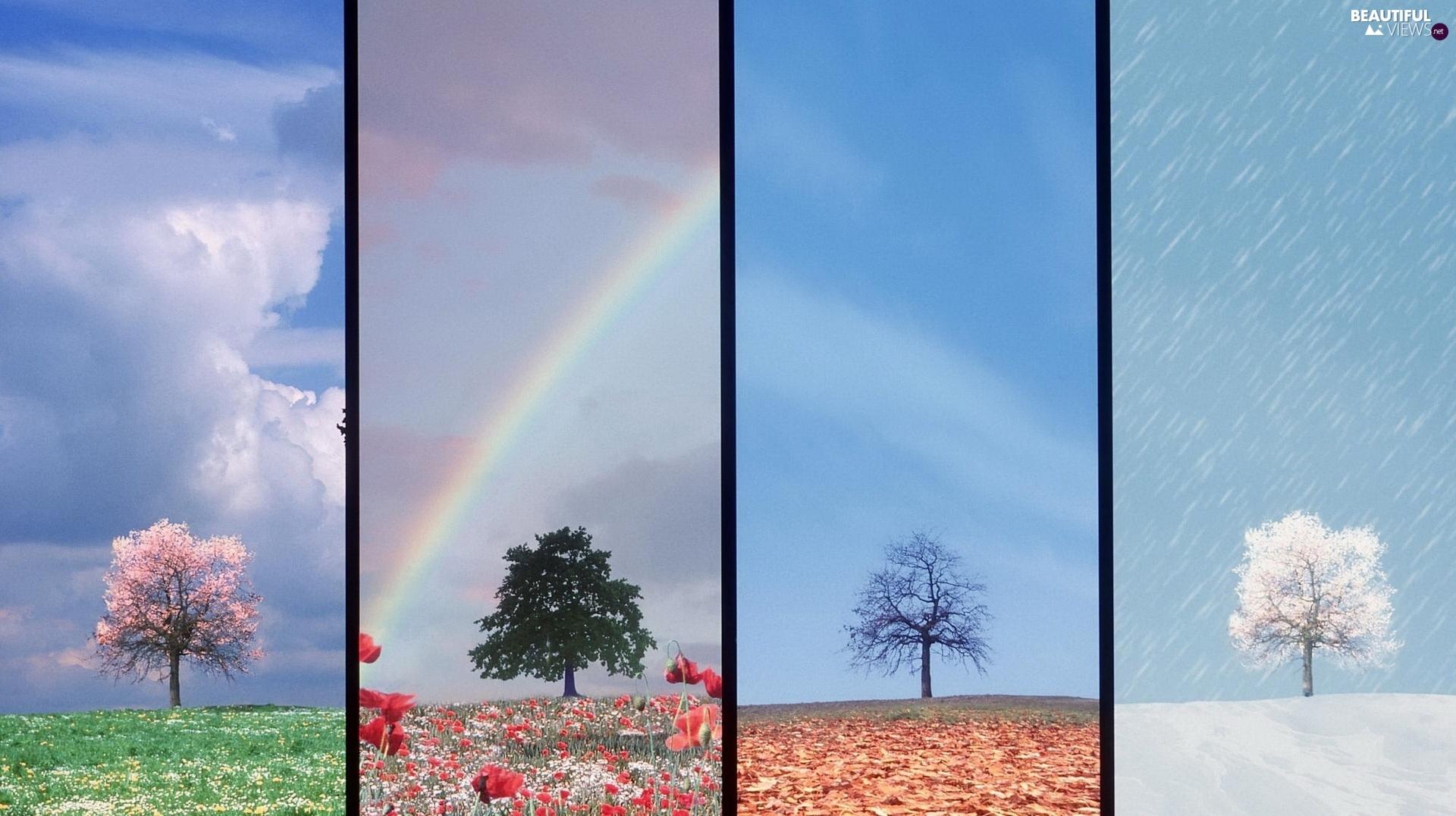 4 Seasons Wallpapers - Top Free 4 Seasons Backgrounds - WallpaperAccess