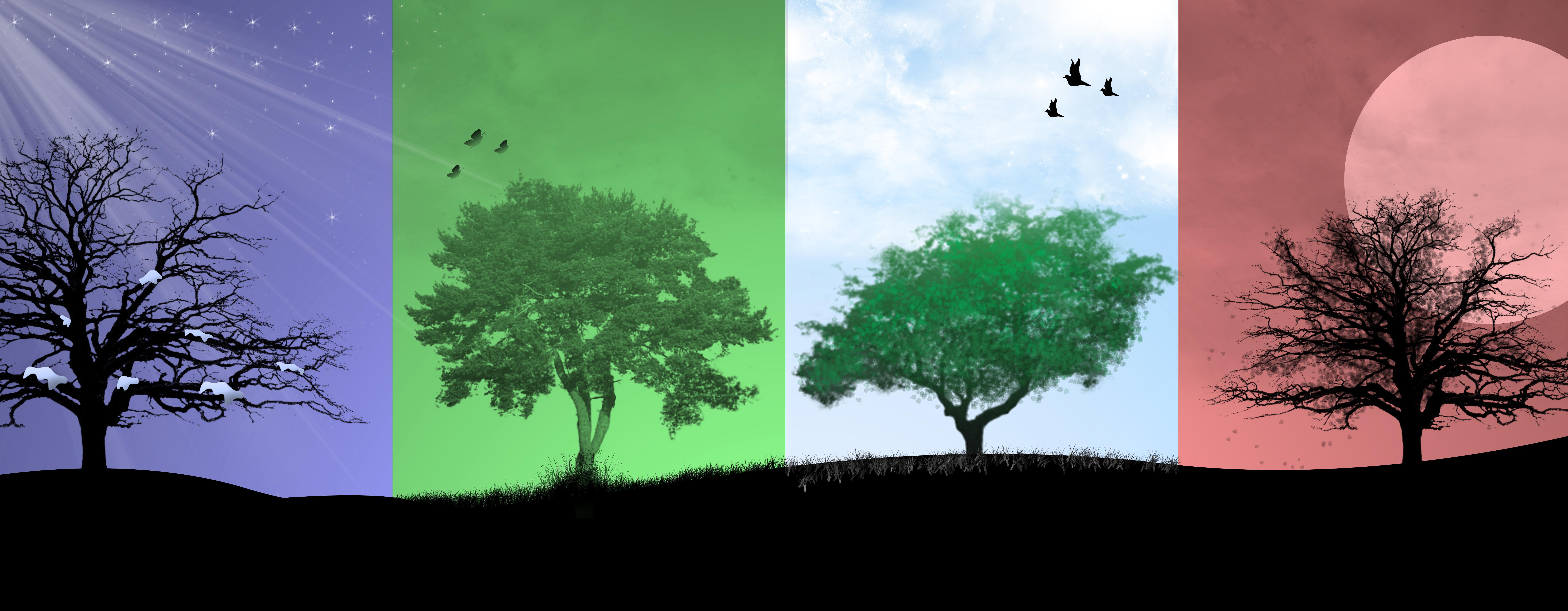 4 Seasons Wallpapers - Top Free 4 Seasons Backgrounds - WallpaperAccess