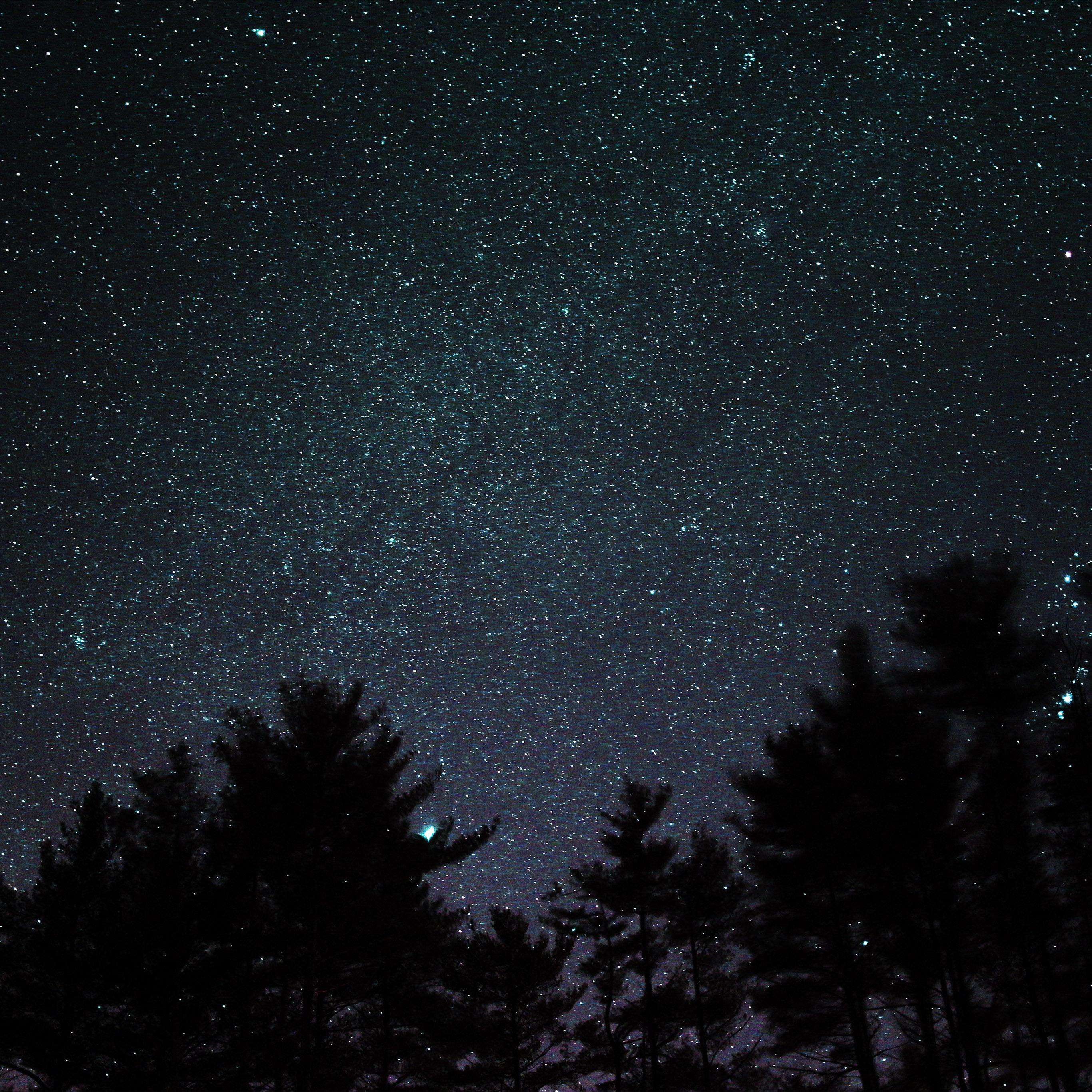 Dark Romantic Wallpapers - Top Free Dark Romantic Backgrounds ...