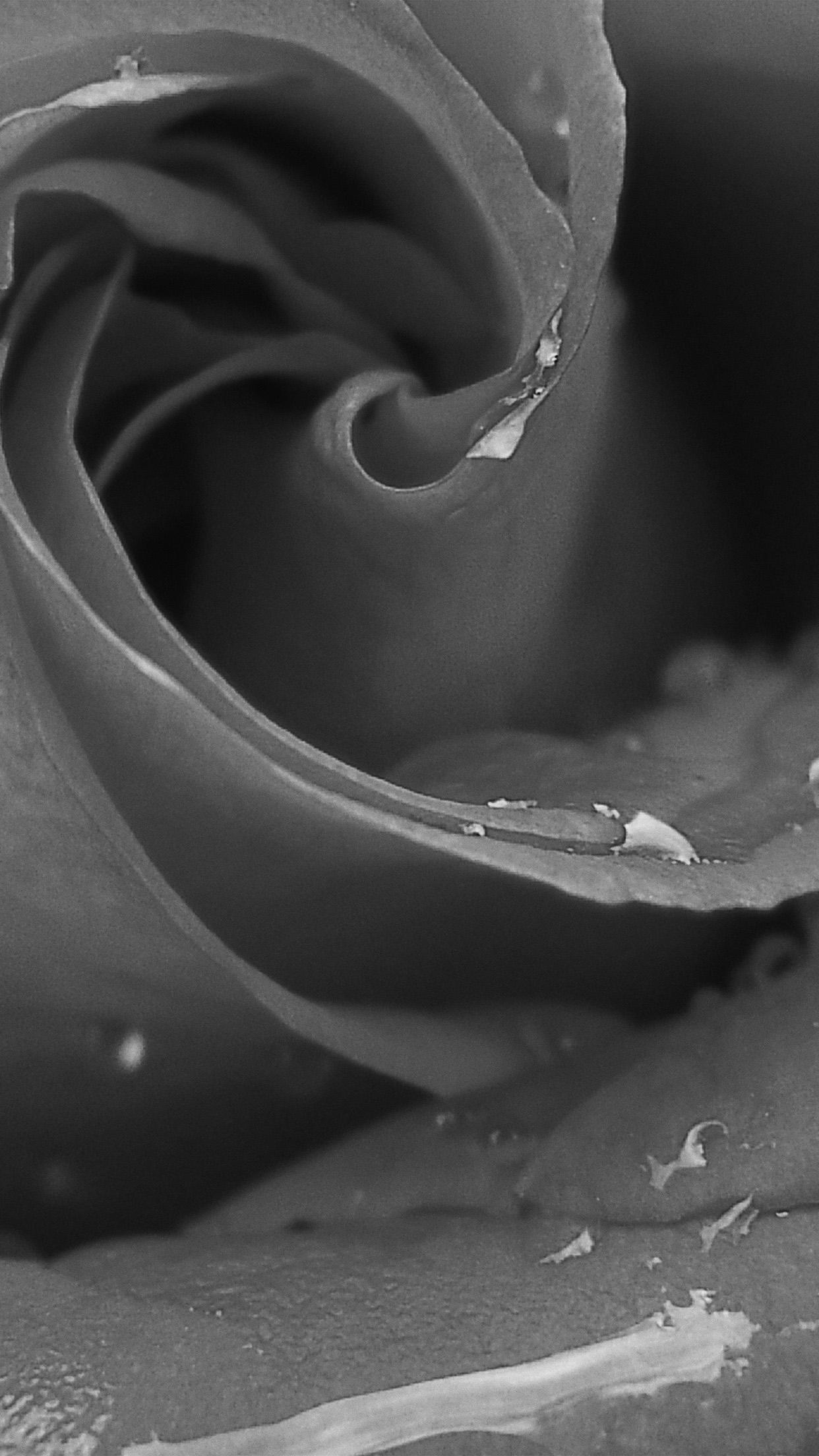 Dark Romantic Wallpapers - Top Free Dark Romantic Backgrounds ...