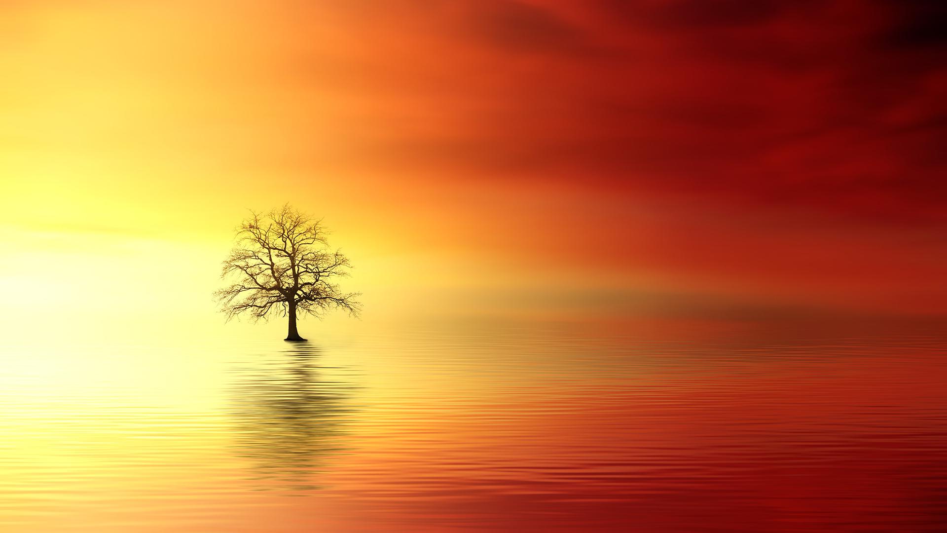 Vivid Desktop Wallpapers - Top Free Vivid Desktop Backgrounds ...