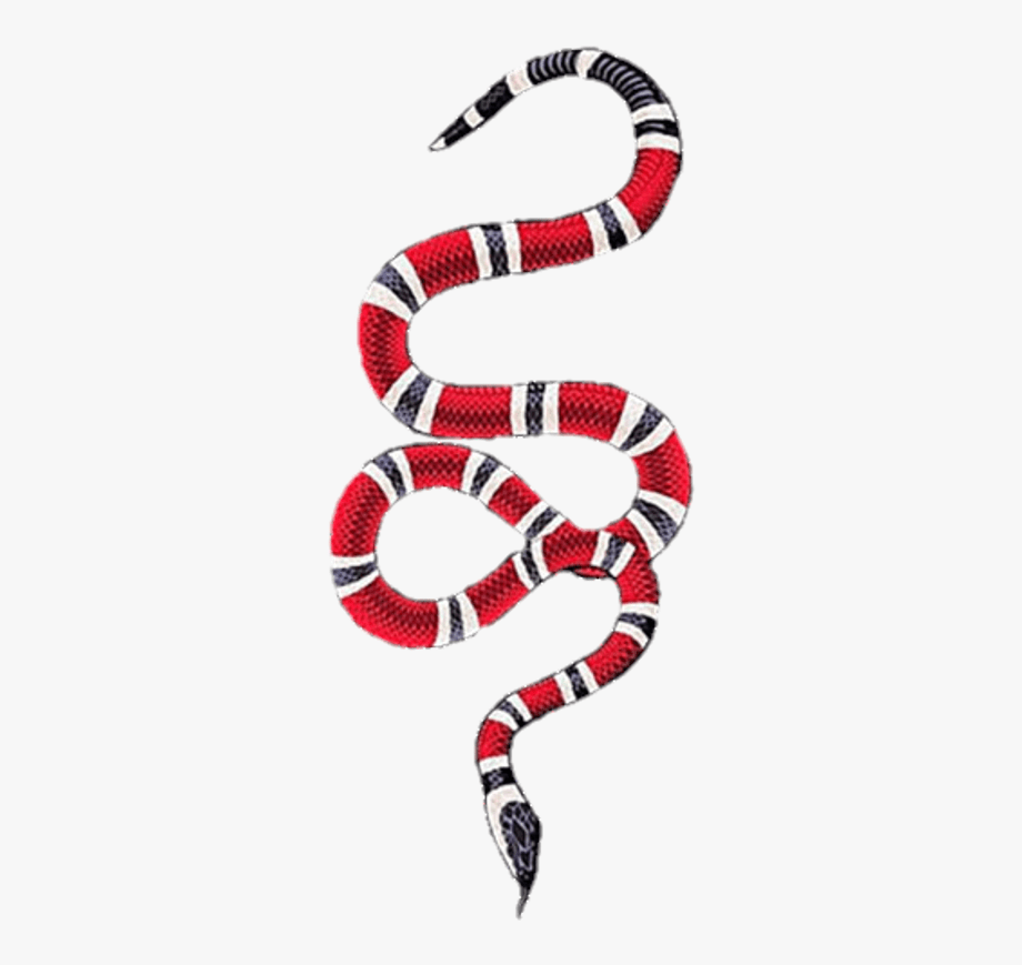 Gucci Snake Logo Wallpapers - Top Free Gucci Snake Logo Backgrounds ...