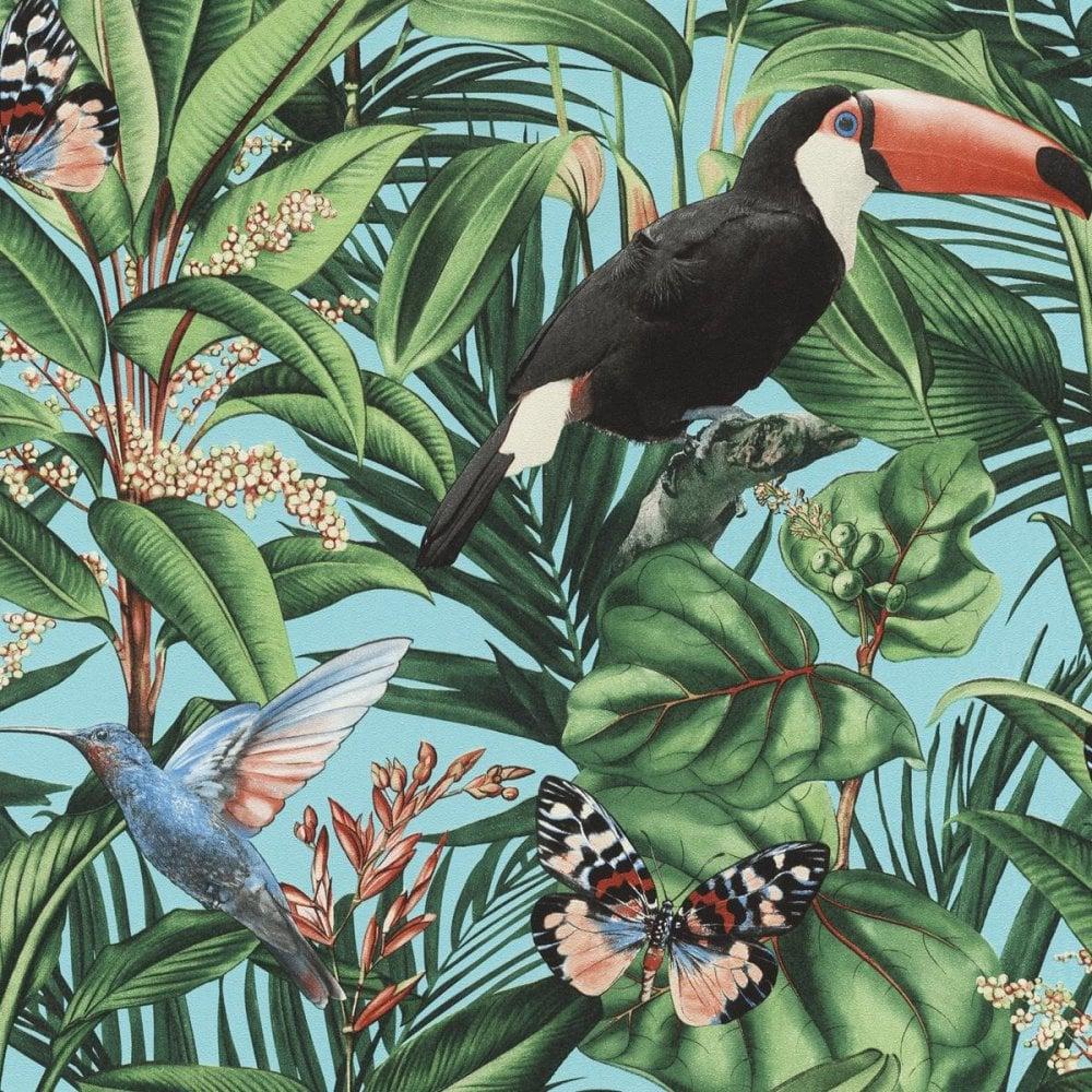 Tropical Bird Wallpapers - Top Free Tropical Bird Backgrounds ...