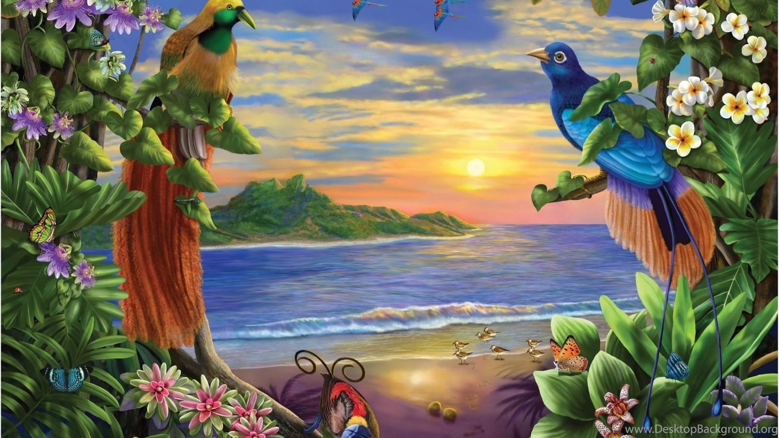 Tropical Bird Wallpapers - Top Free Tropical Bird Backgrounds ...