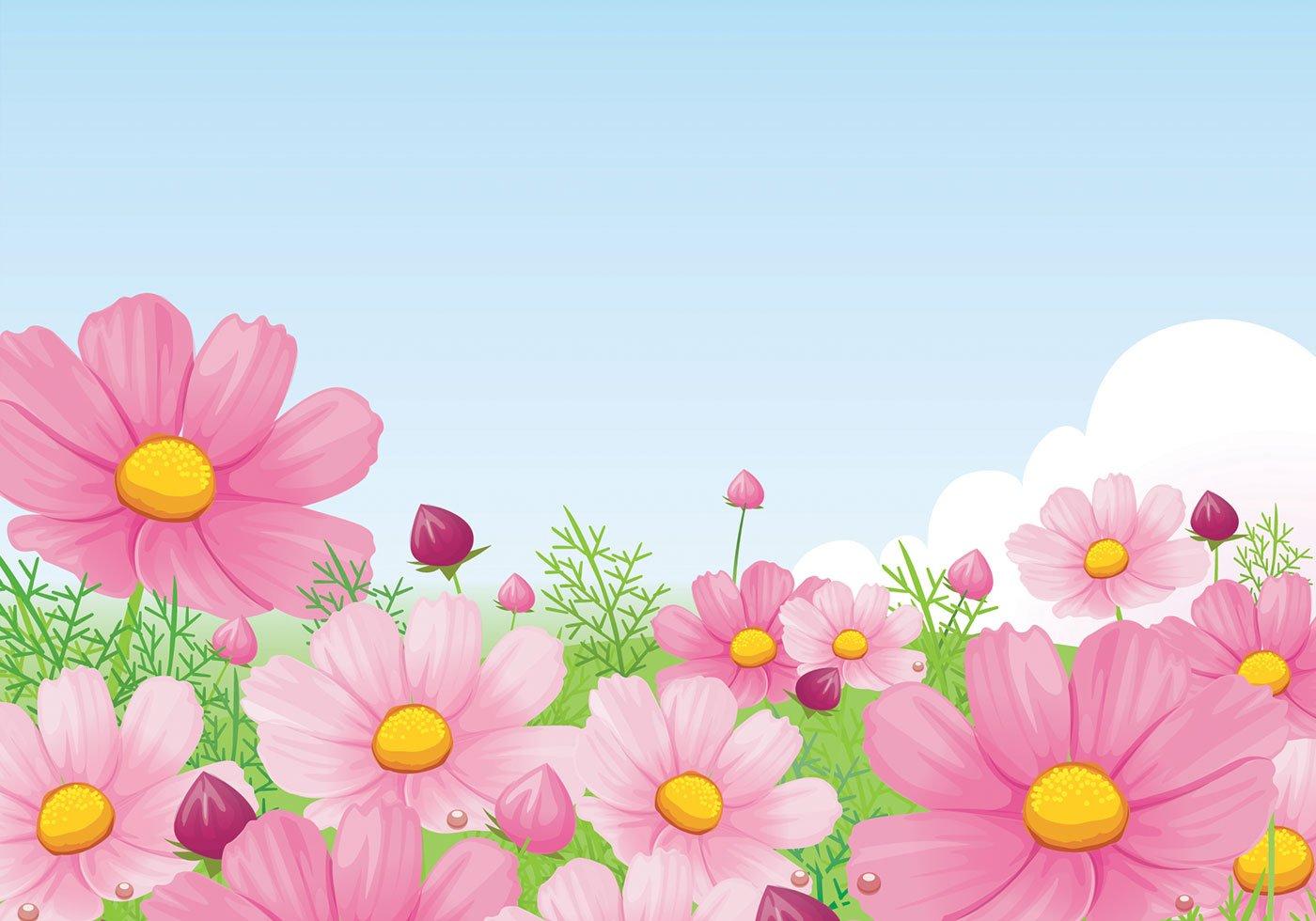 Pink Daisy Flower Wallpapers - Top Free Pink Daisy Flower Backgrounds ...