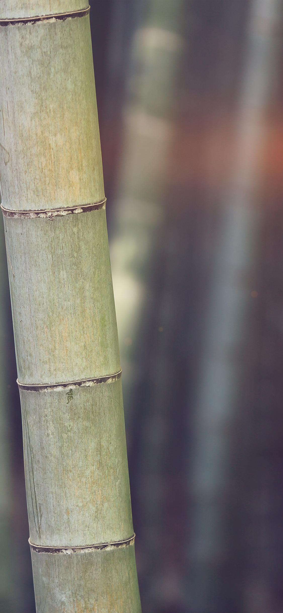 Minimalist Bamboo Wallpapers - Top Free Minimalist Bamboo Backgrounds ...
