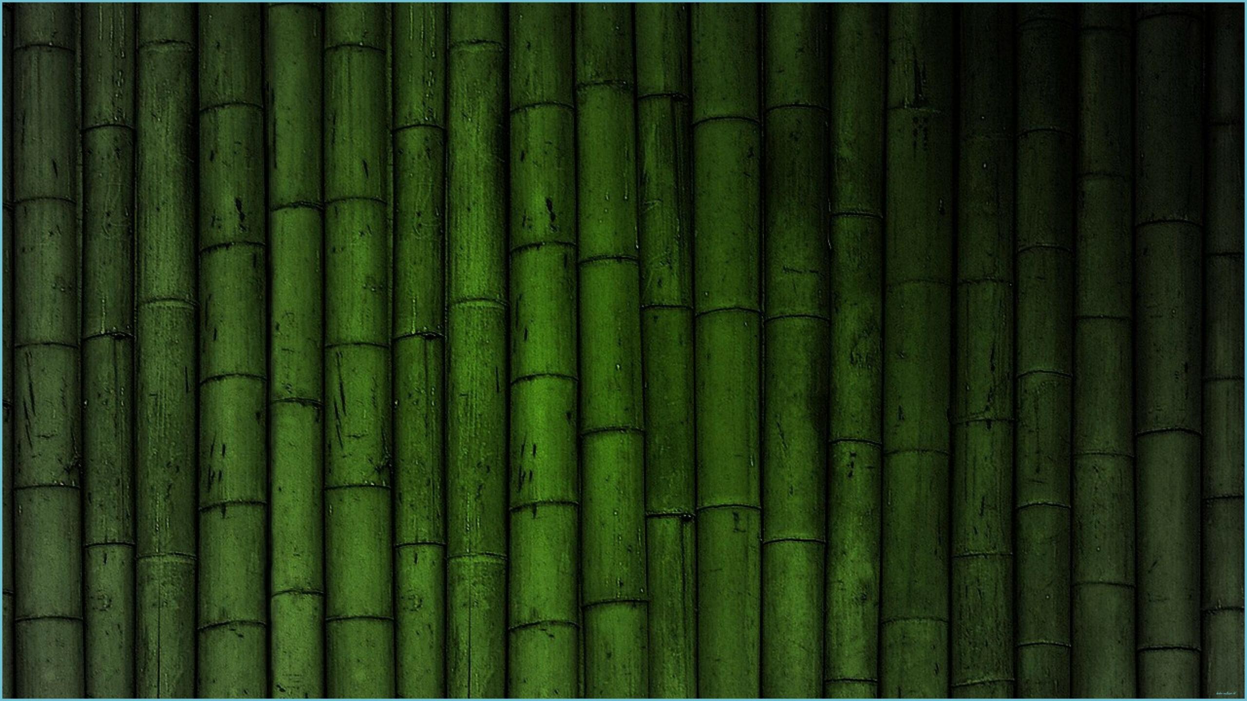 Minimalist Bamboo Wallpapers - Top Free Minimalist Bamboo Backgrounds ...