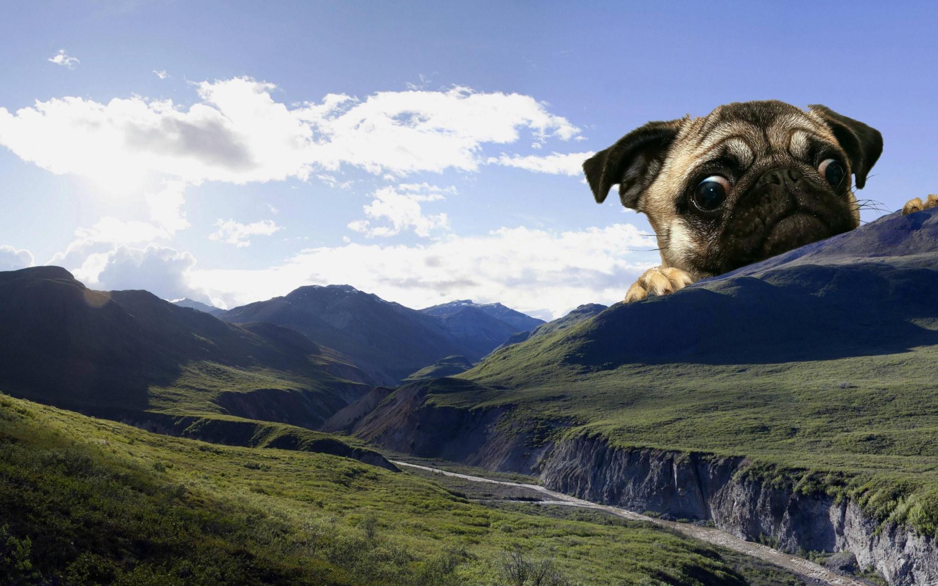 Cute Landscape Wallpapers - Top Free Cute Landscape Backgrounds ...