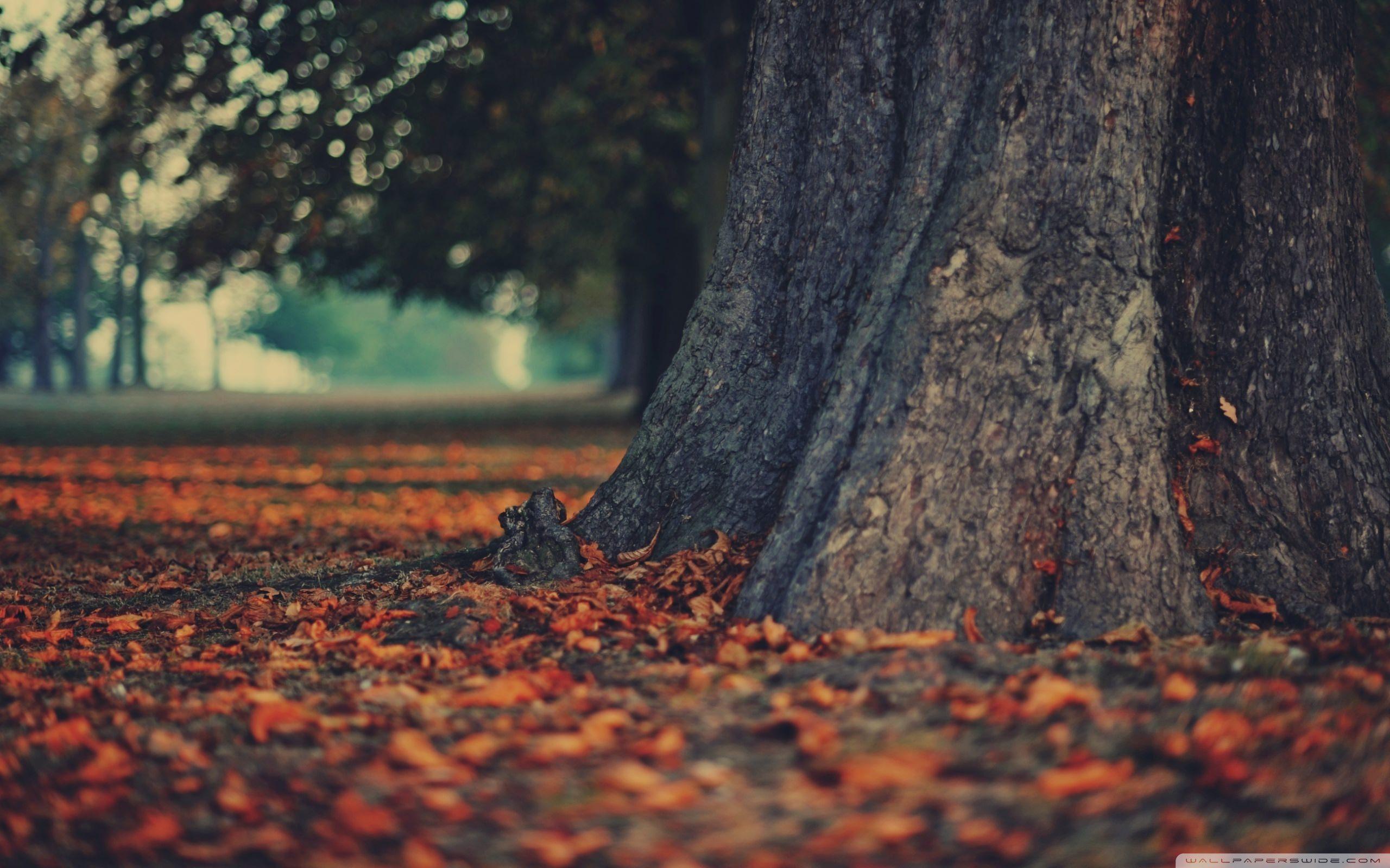 Strong Desktop Wallpapers - Top Free Strong Desktop Backgrounds ...