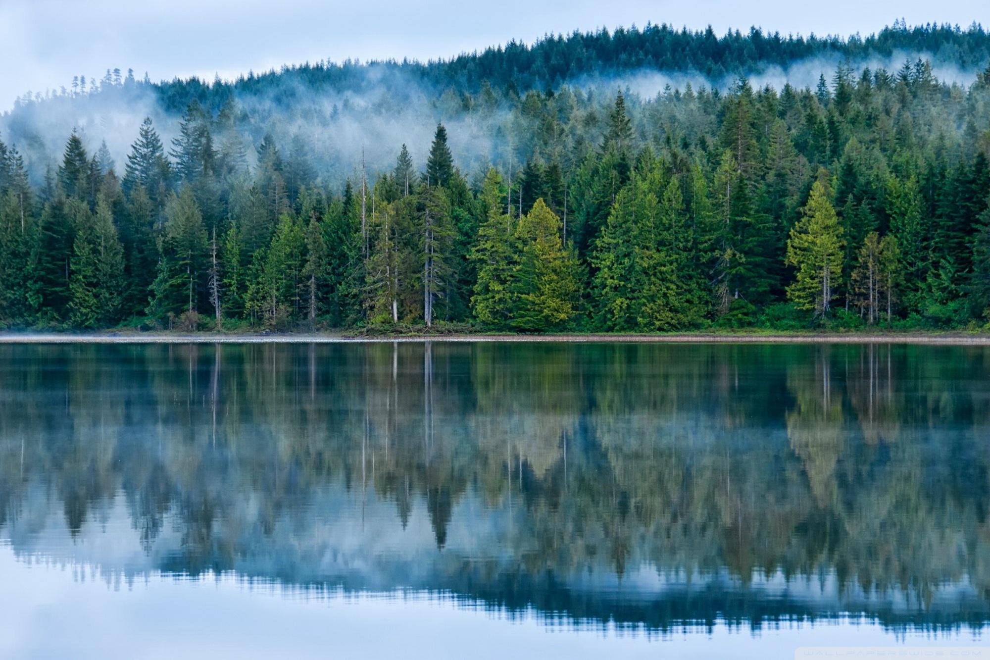 Canadian Forest Wallpapers - Top Free Canadian Forest Backgrounds ...